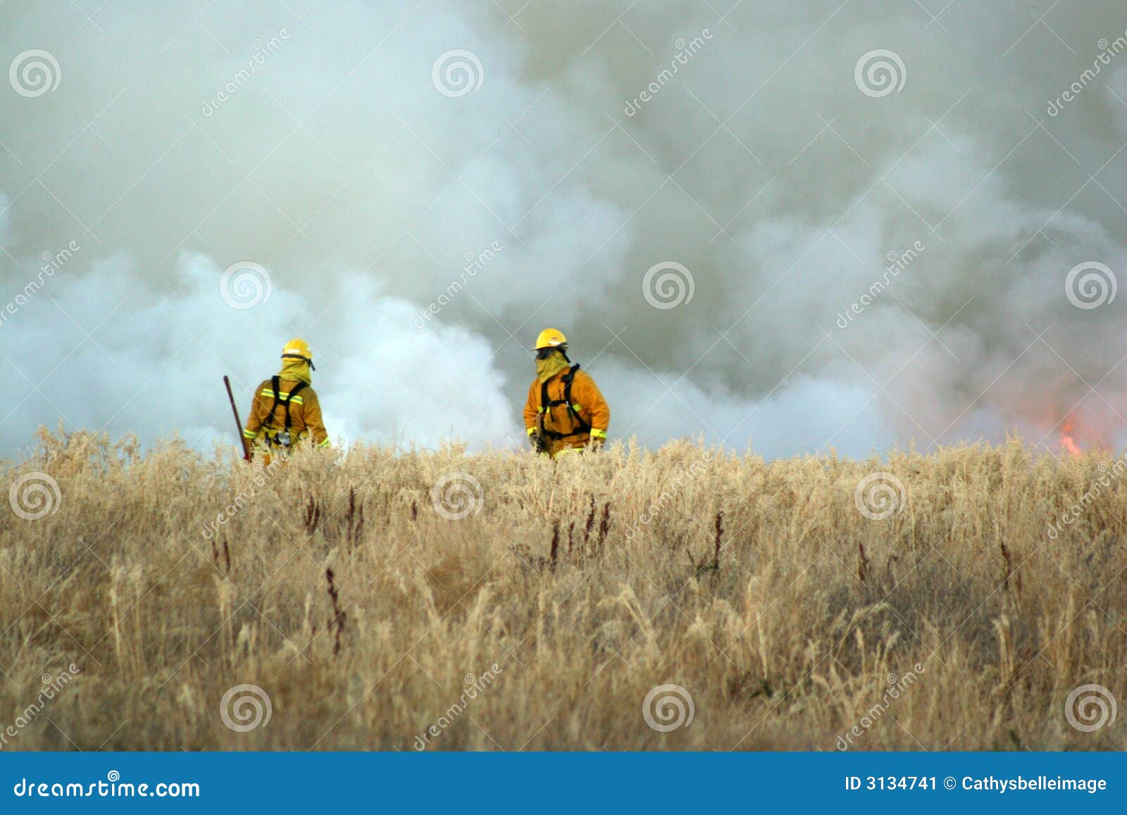 Firemen at work stock image. Image of safety, uniform - 3134741