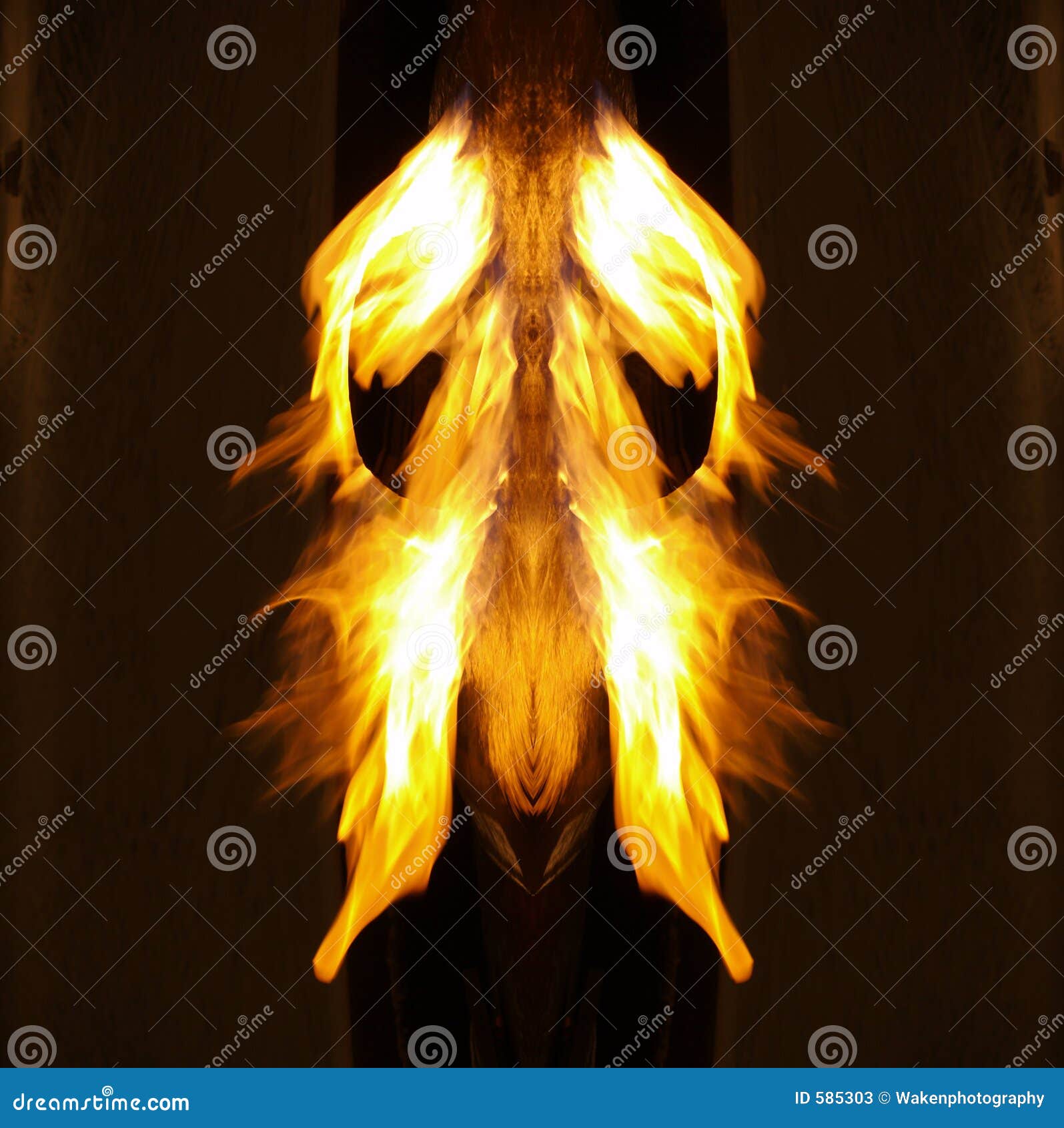 Firemoth? stock image. Image of moth, amazing, gorgeous - 585303
