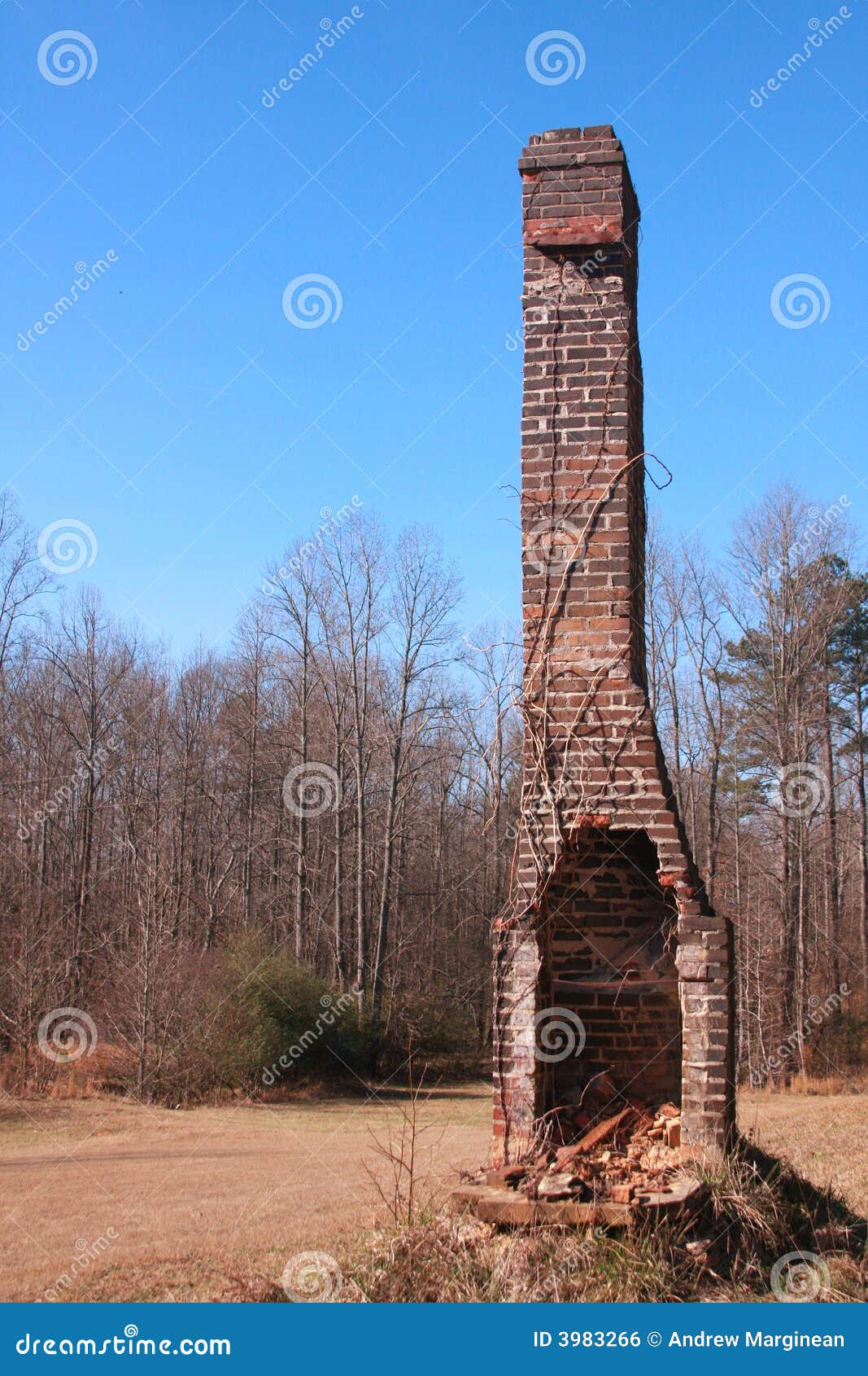 Fireplace Picture. Image: 3983266