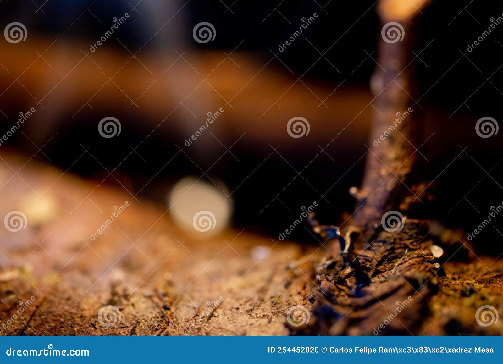 Flame Texture of Fire in the Fireplace for Graphic Resources Stock ...