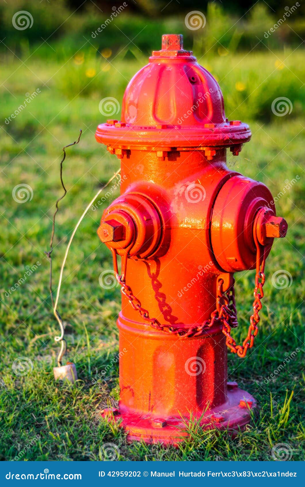 Fireplug stock photo. Image of rescue, object, water - 42959202