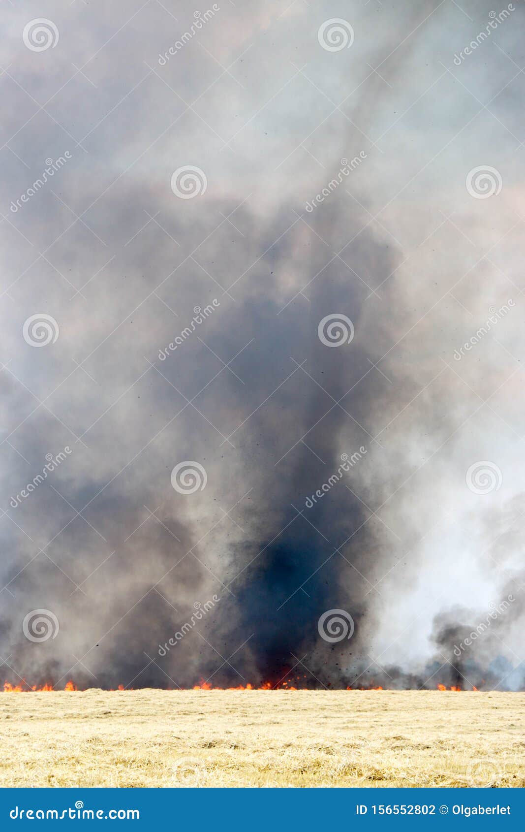 Fires Dry Completely Destroy the Fields. Burning Fields, Tornado, Smoke ...