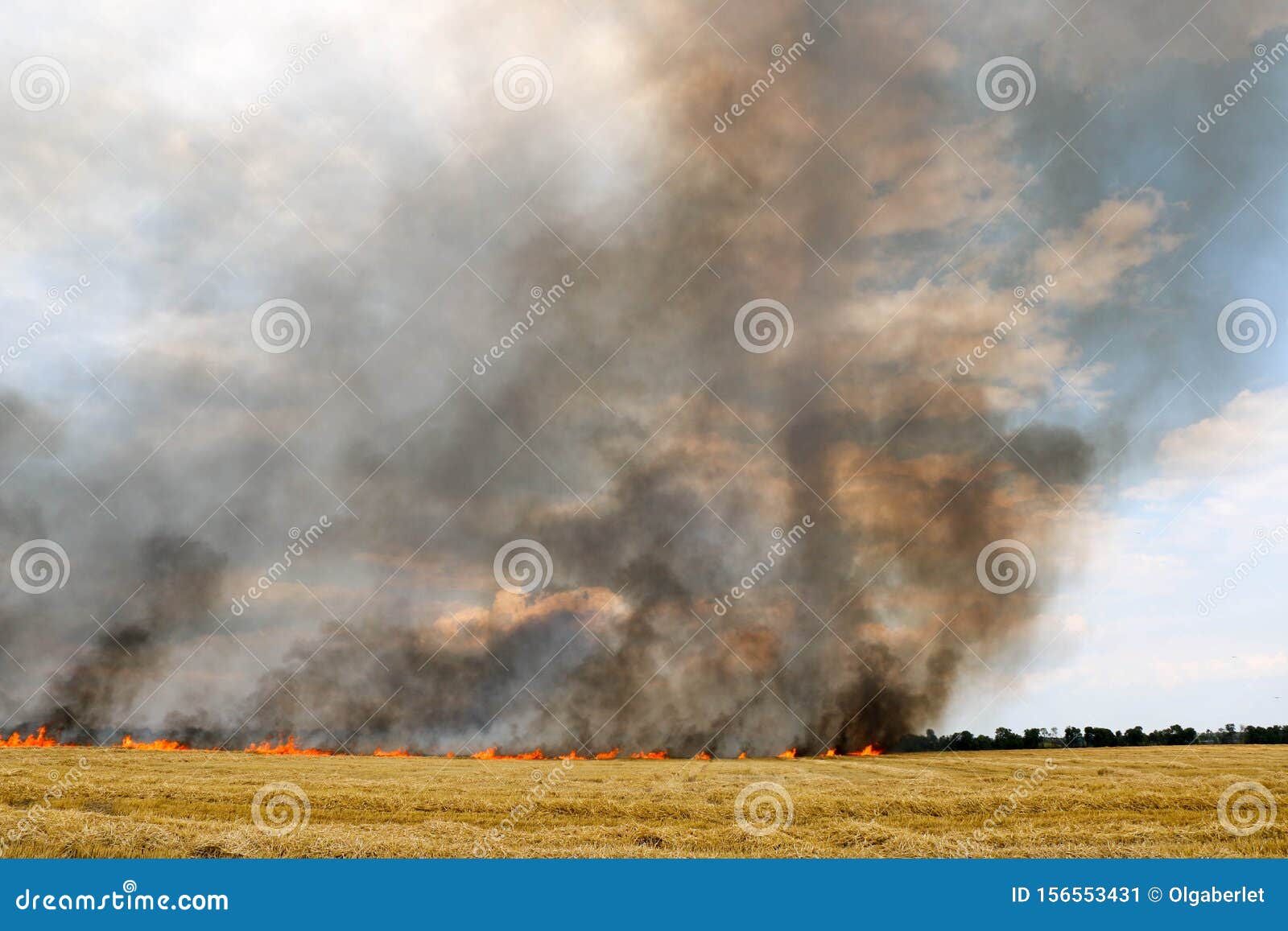 Fires Dry Completely Destroy the Fields. Burning Fields, Tornado, Smoke ...