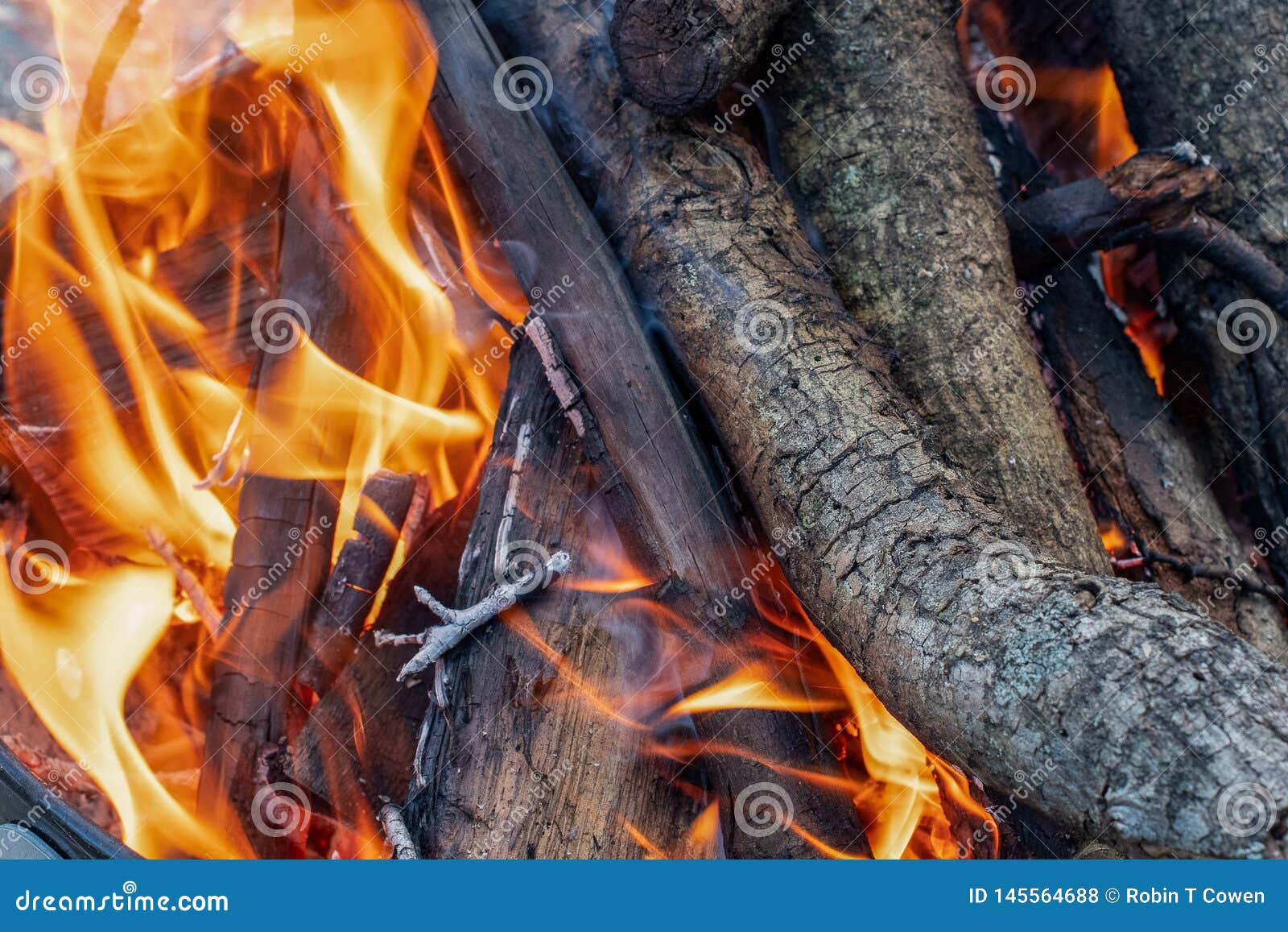 Close Up of Campfire Flames Burning Logs Stock Photo - Image of leisure ...