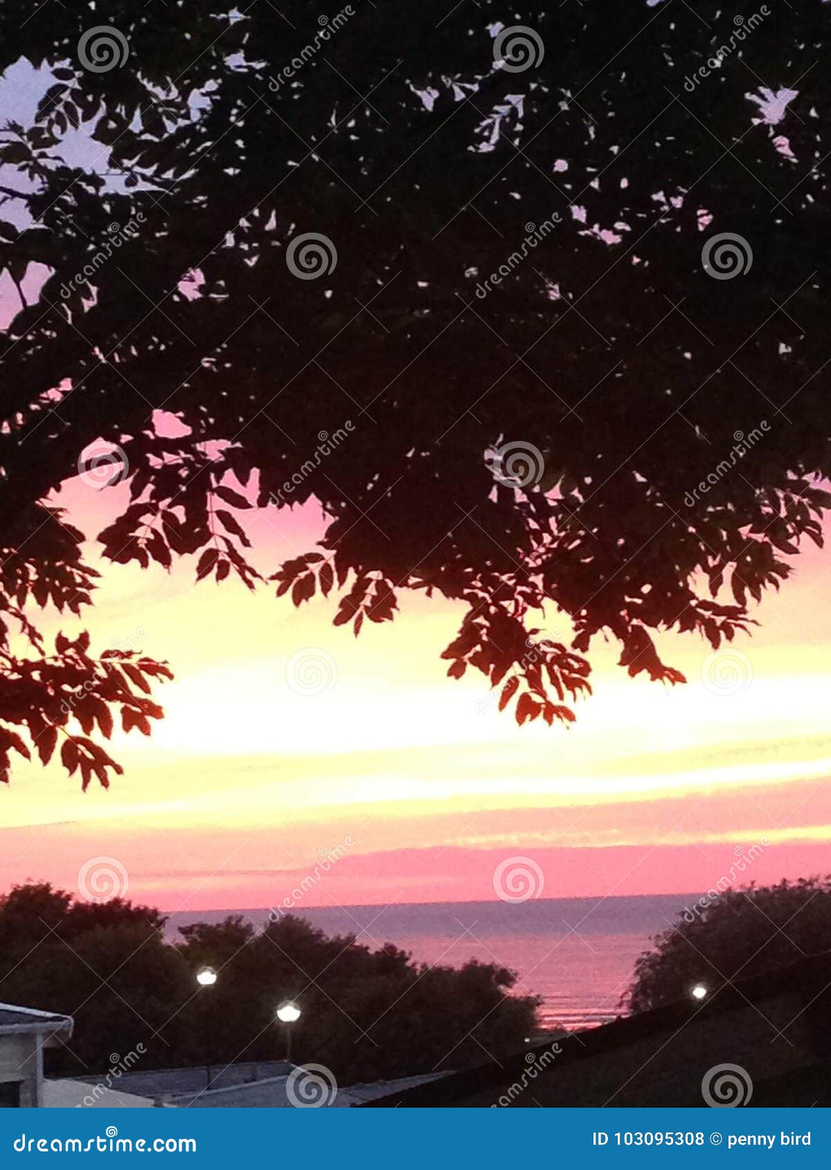 Firesky stock photo. Image of firesky, relaxed, doniford - 103095308