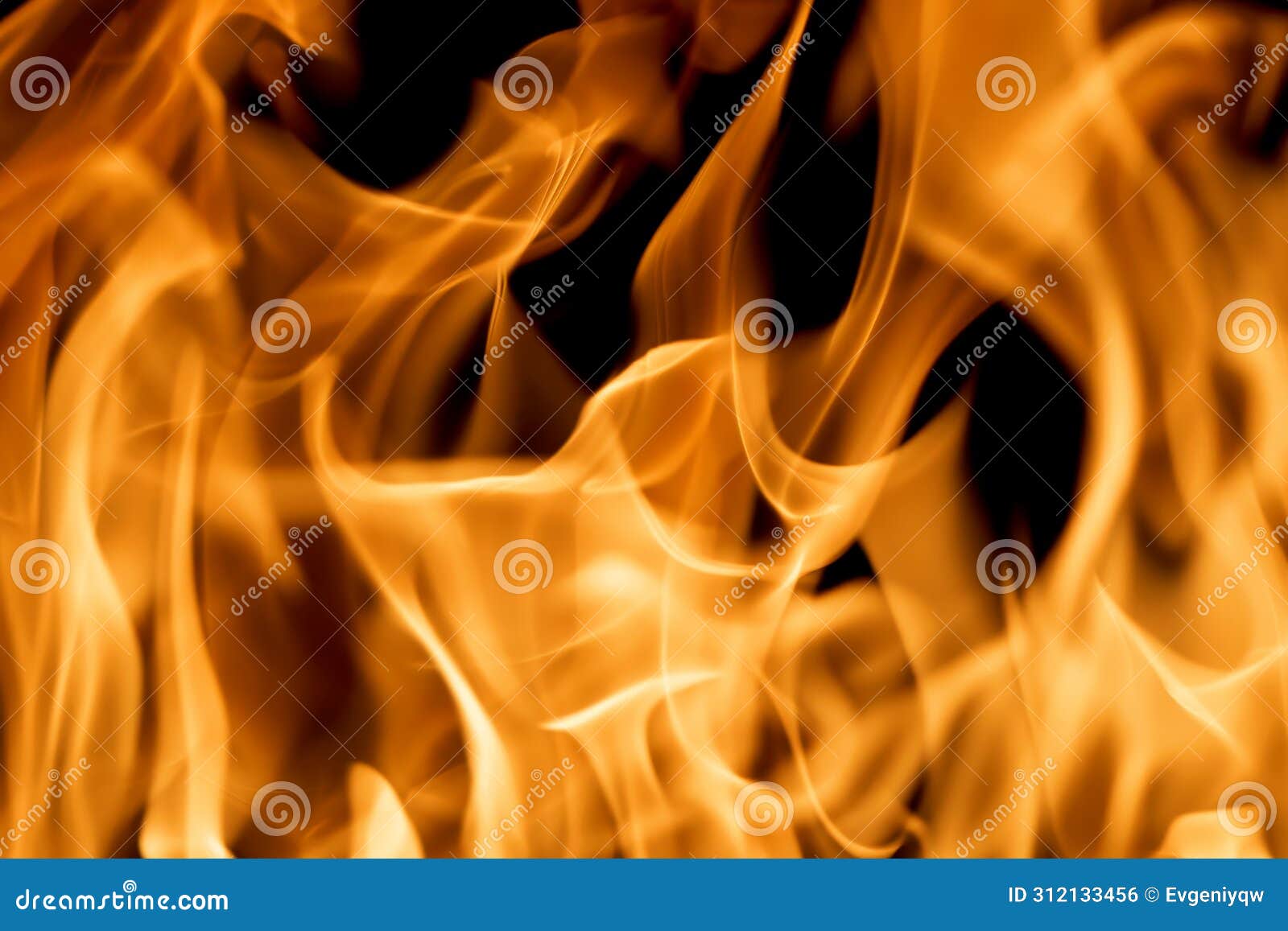 Firestorm. Fire Burning. Bright Burning Flames on a Black Background ...