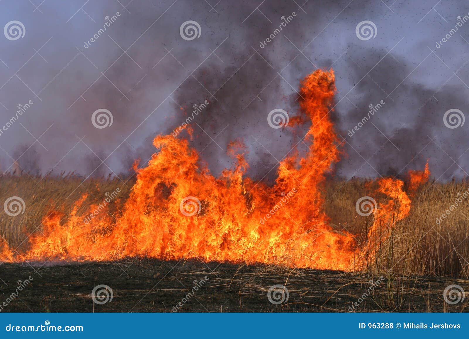 Firewall stock photo. Image of burn, fireman, safety, fire - 963288