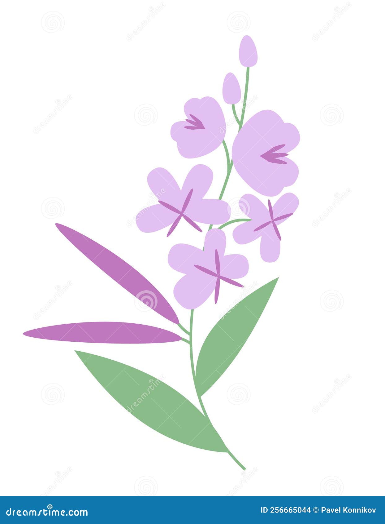 Fireweed in flat style. stock vector. Illustration of branch - 256665044