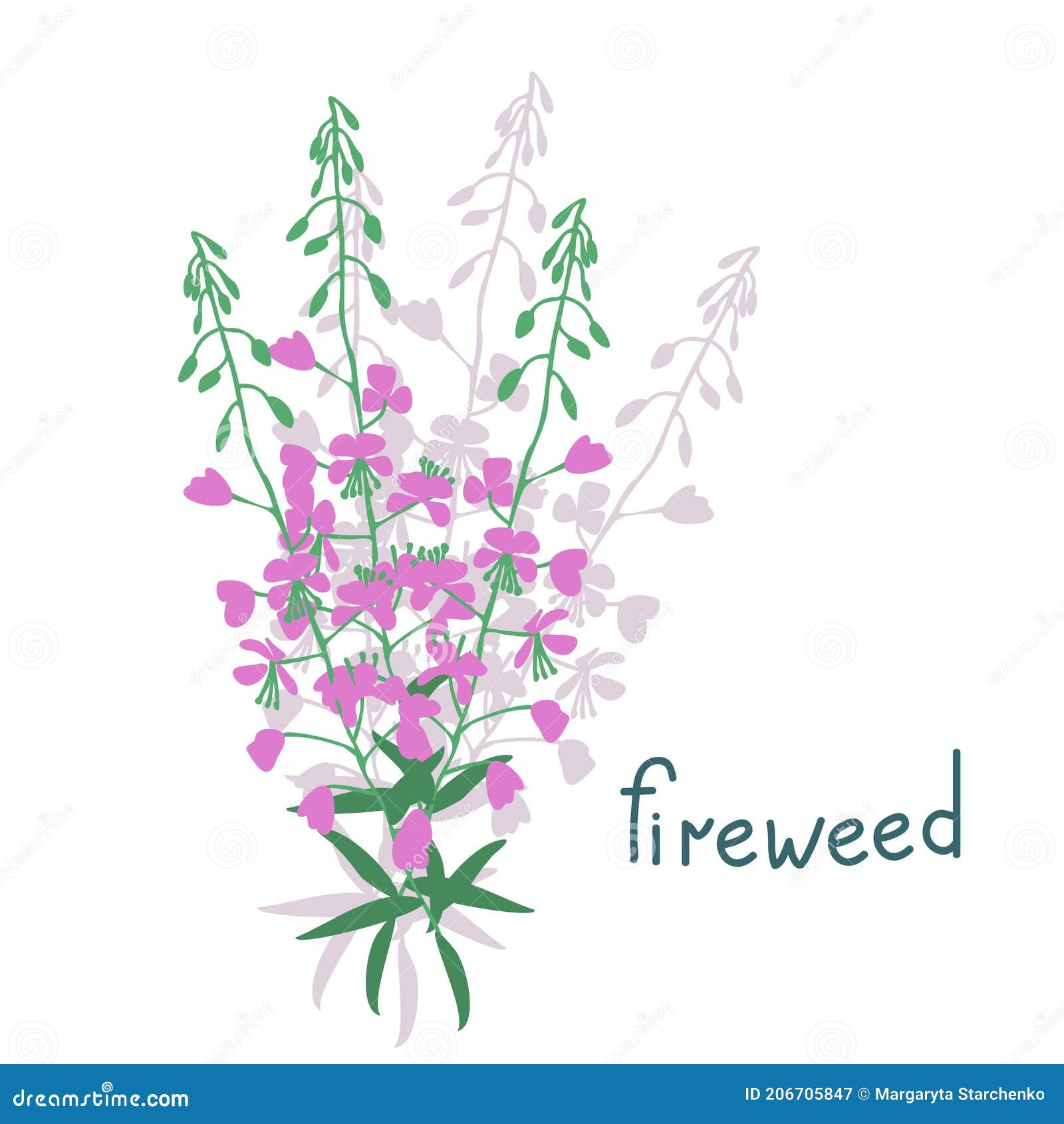 Fireweed Vector Illustration Stock Vector - Illustration of environment ...