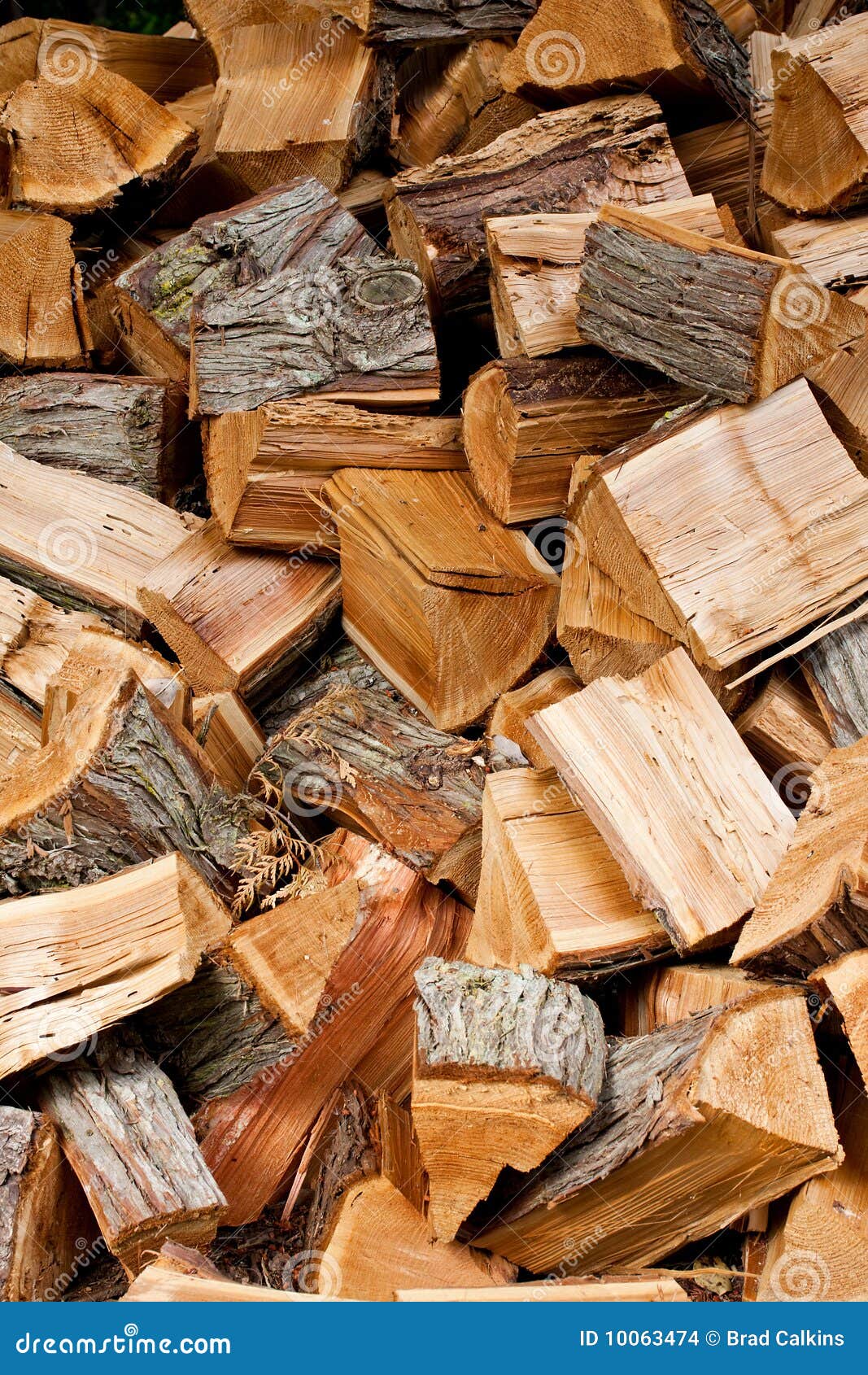 Firewood stock photo. Image of firewood, fuel, trees - 10063474