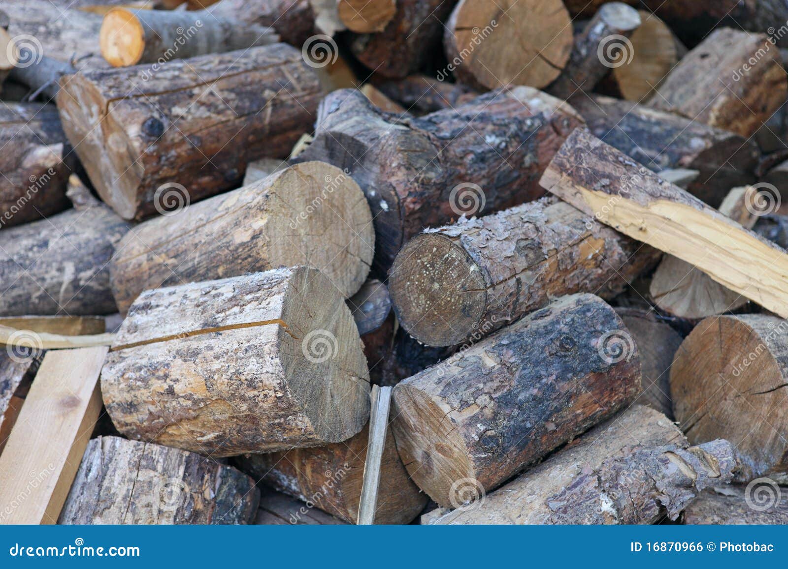 Firewood stock photo. Image of pine, environment, firewood - 16870966