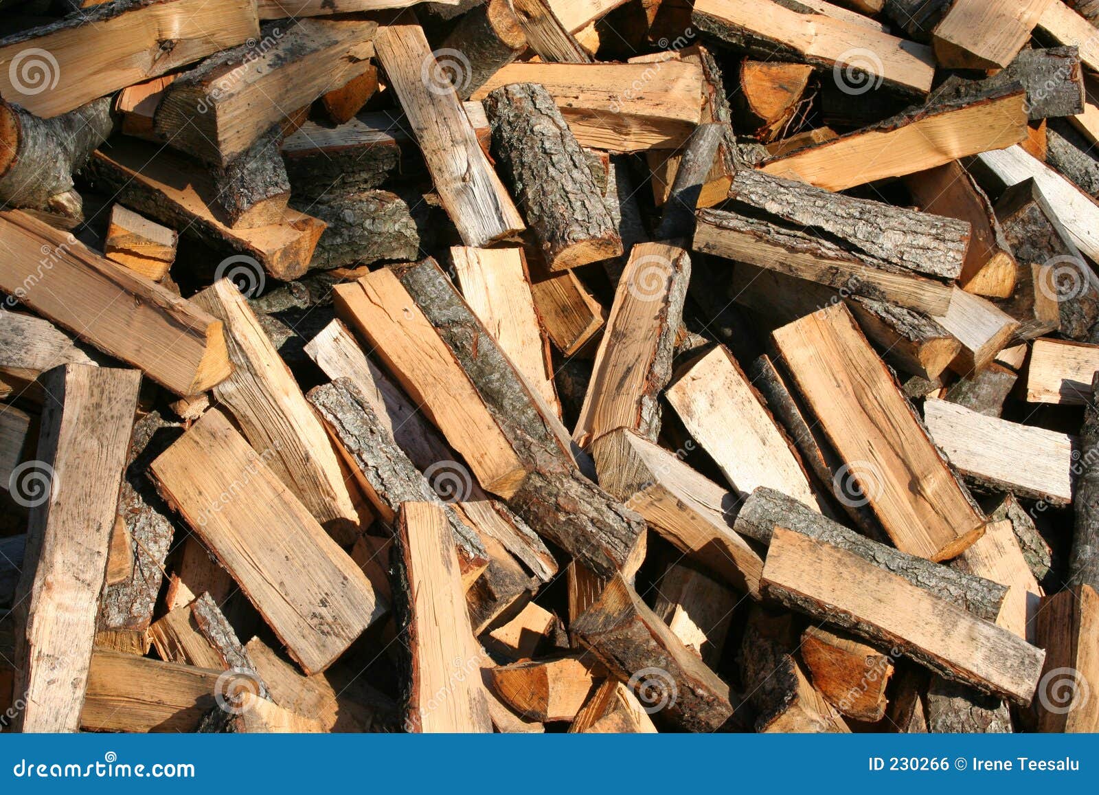 Firewood stock photo. Image of energy, burn, forest, firewood - 230266