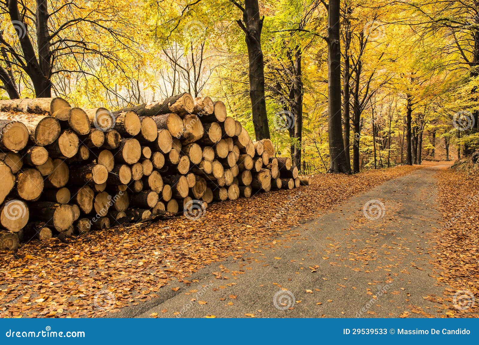 Firewood stock image. Image of trunk, stack, hardwood - 29539533