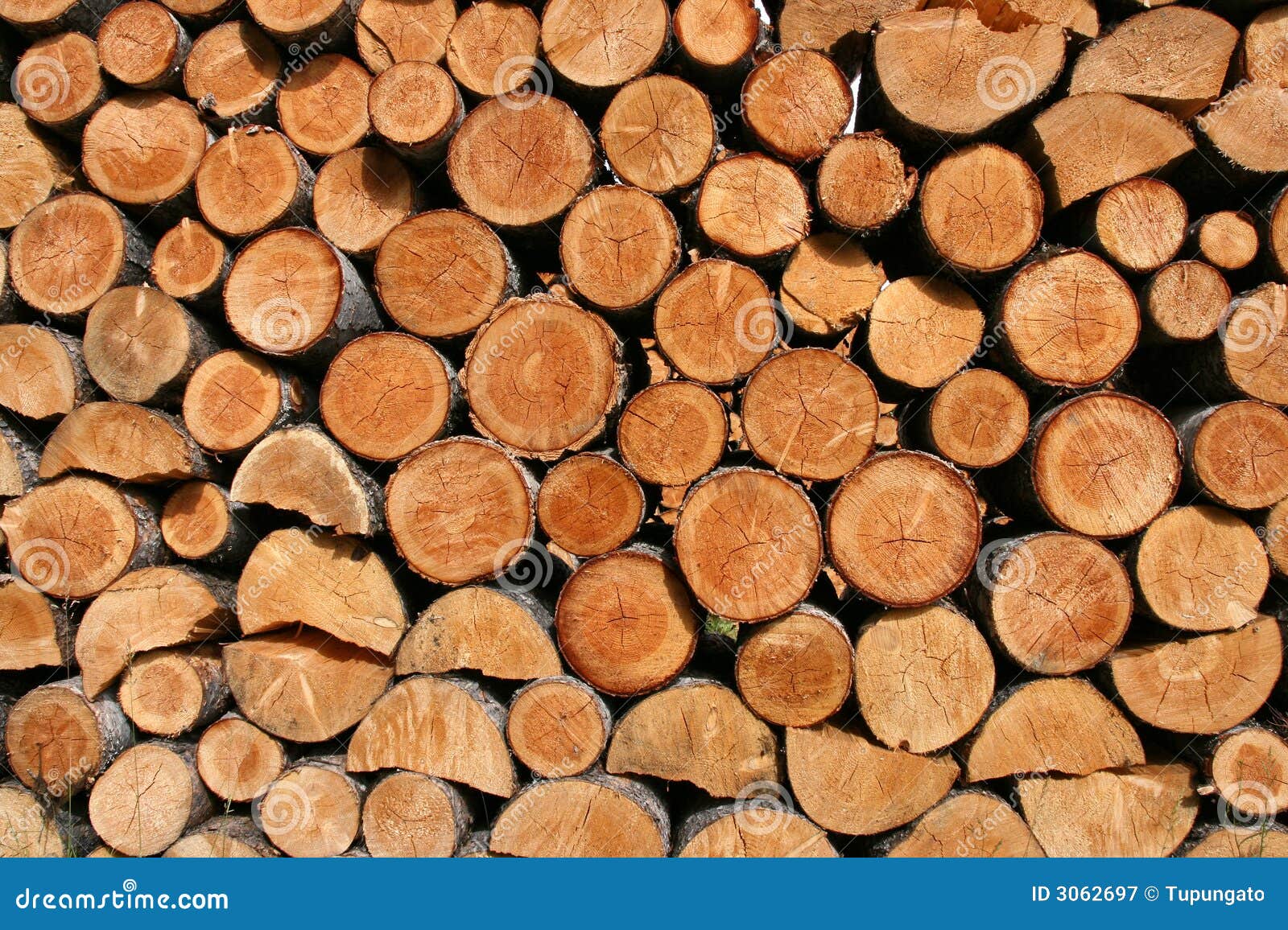 Firewood stock image. Image of timber, fire, stockpile - 3062697