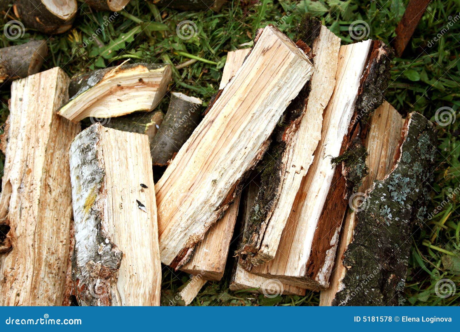 Firewood Picture. Image: 5181578