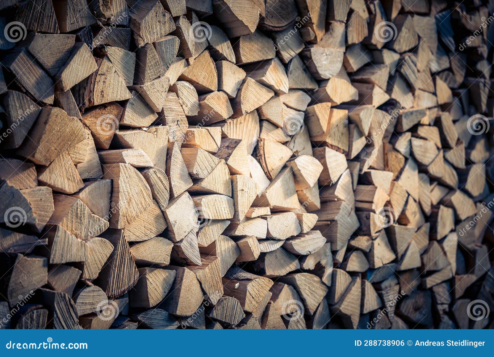 Firewood in autumn stock photo. Image of brown, forest - 288738906