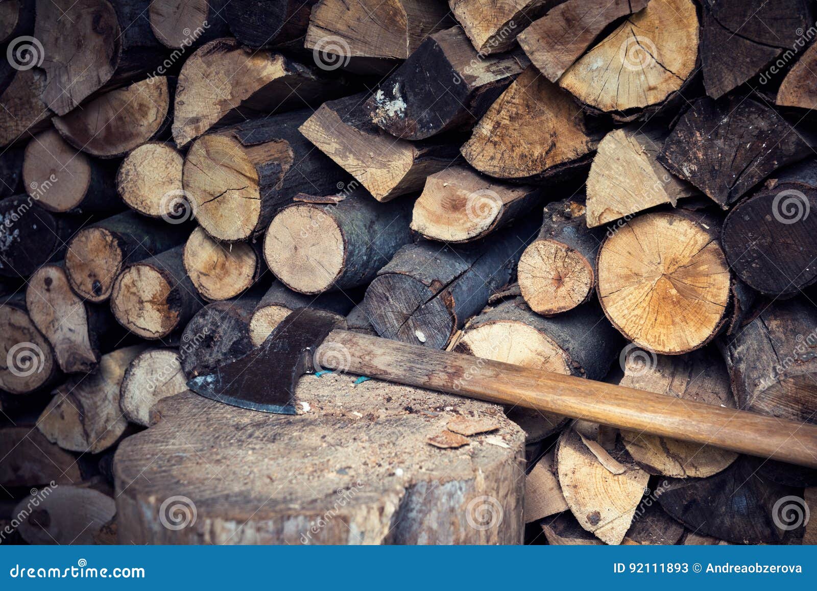 Firewood Background. Different Types Of Wood Textures Background ...