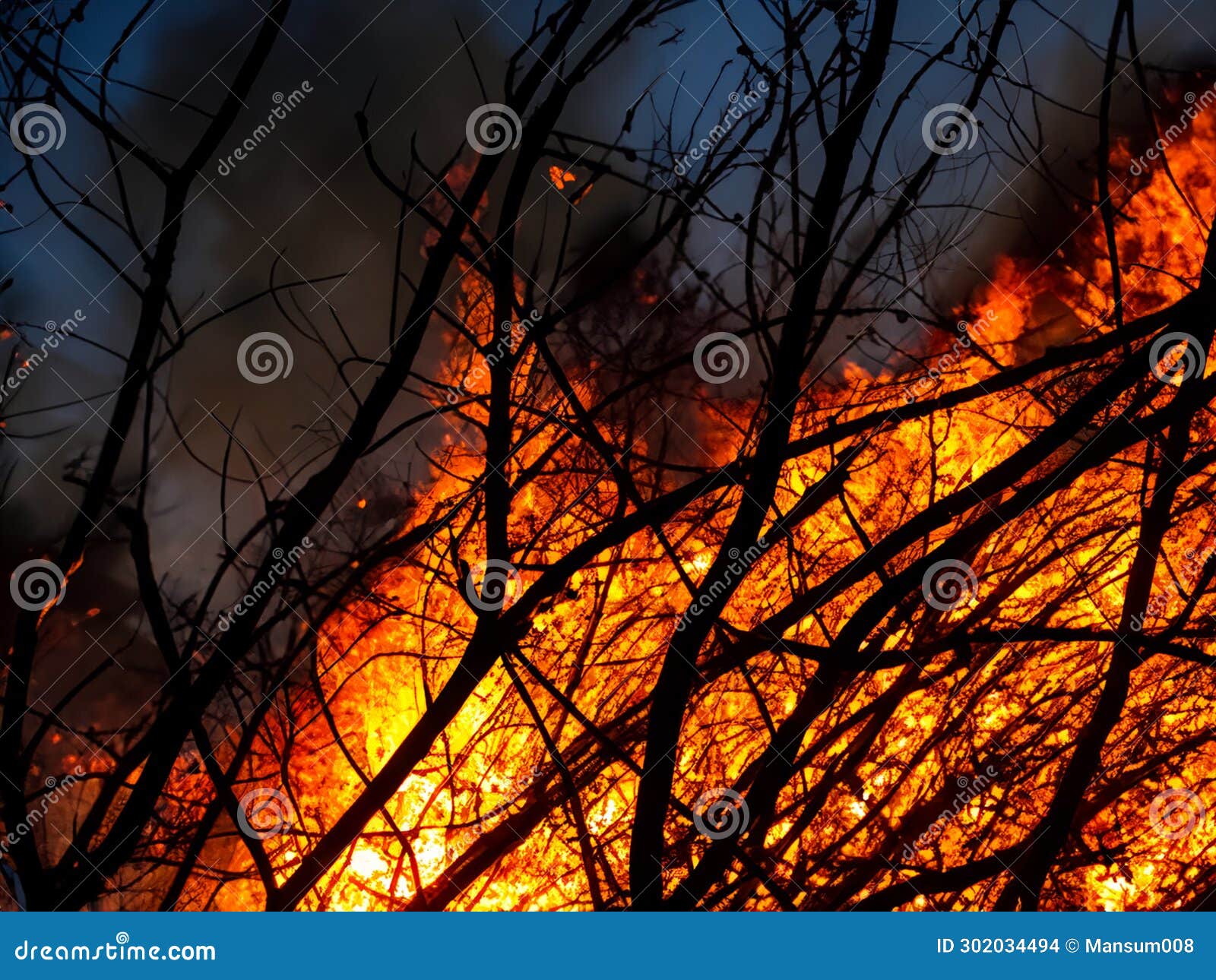 Firewood and Branches Burn in the Fire Stock Illustration ...