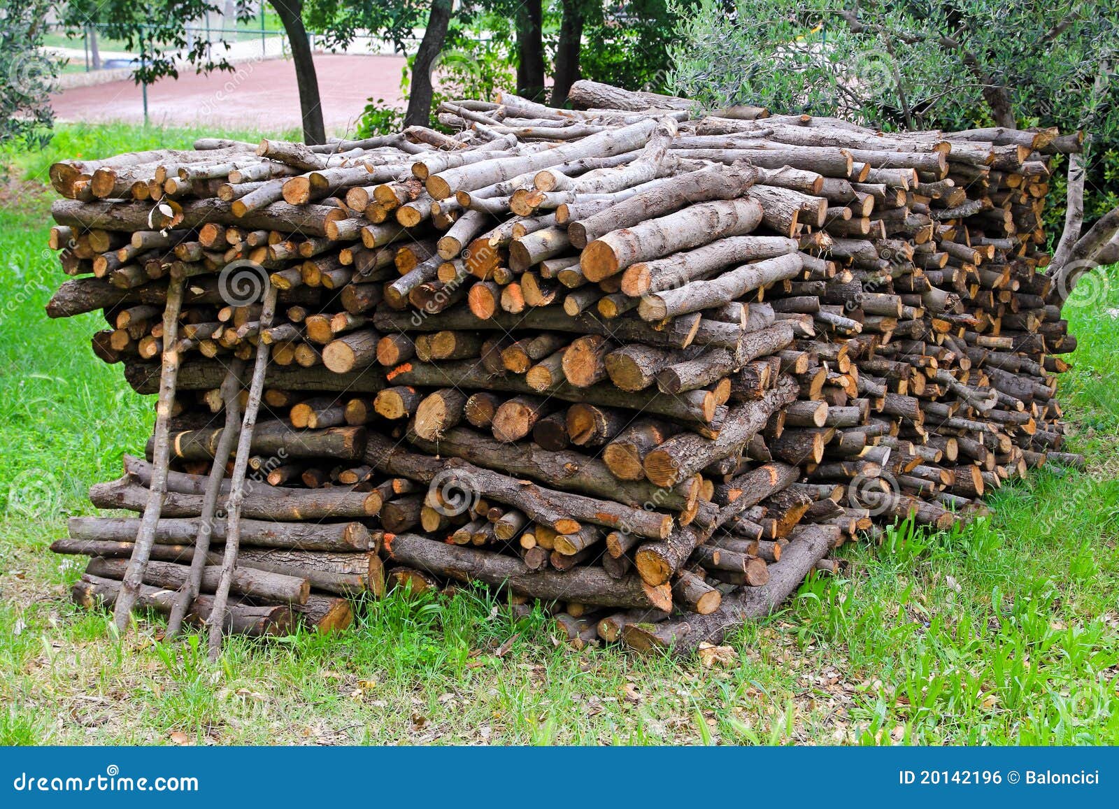 Firewood bunch stock photo. Image of collected, winter - 20142196