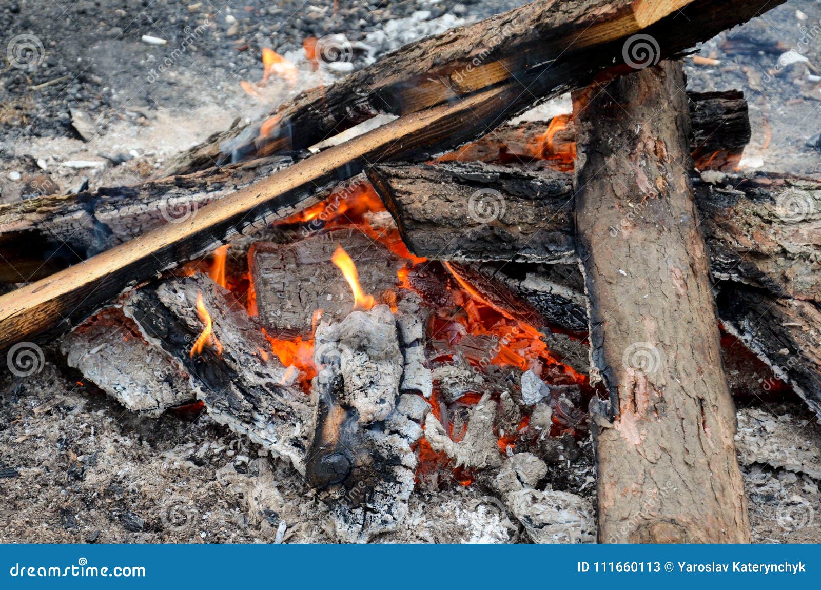 Firewood Burned in the Fire Stock Image - Image of burned, bonfire ...