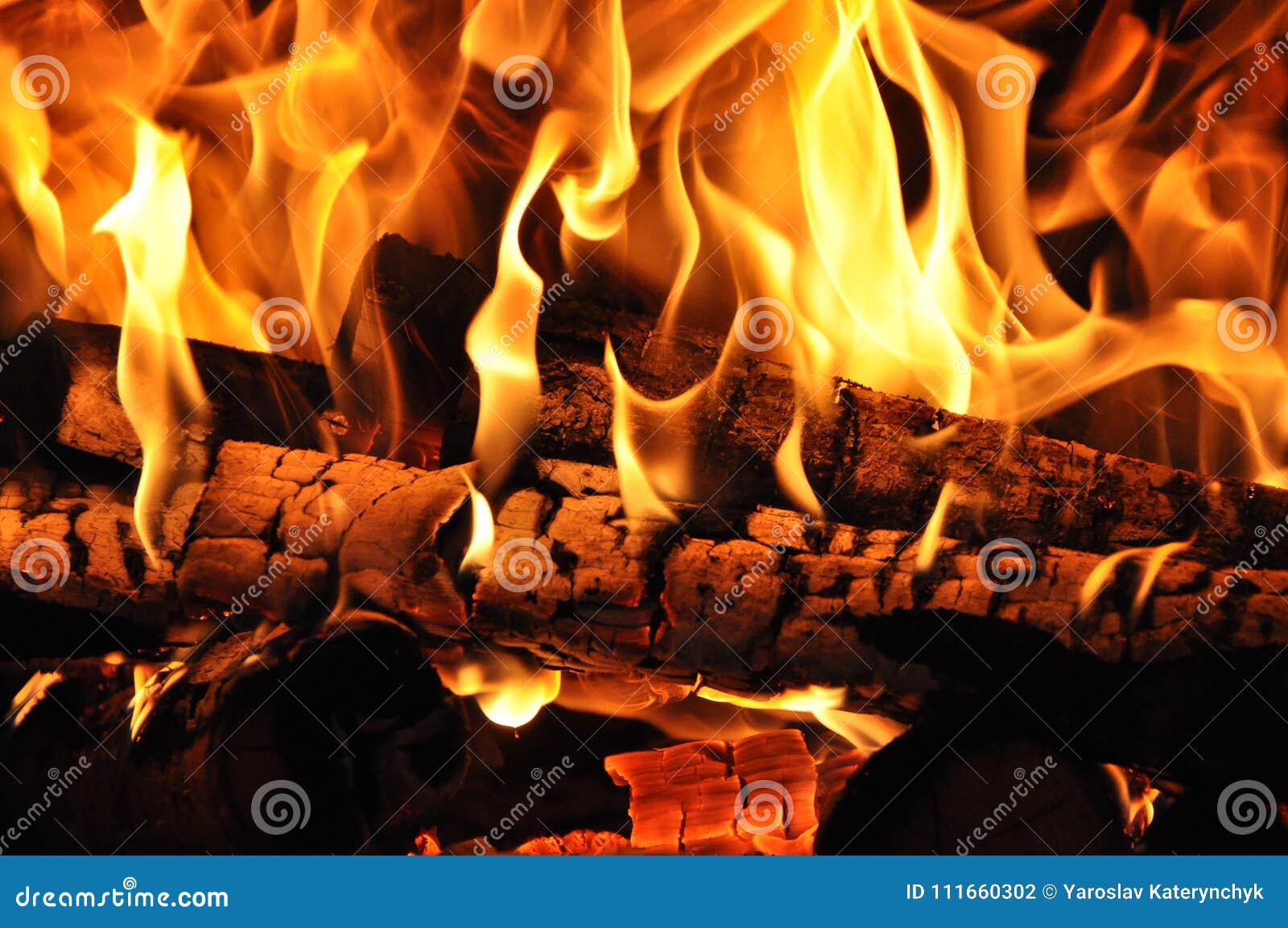 Firewood Burned in the Fire Stock Photo - Image of bonfire, burned ...