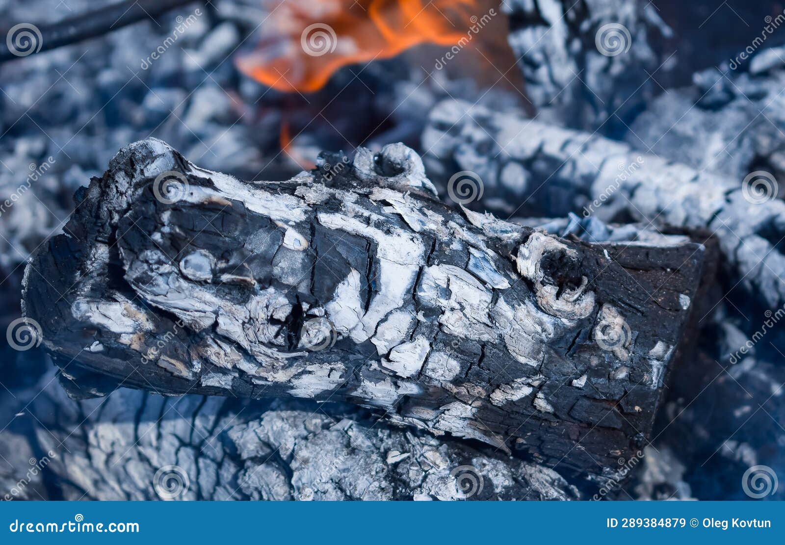 Firewood Burning in the Brazier, Smoldering Log Coals Stock Image ...