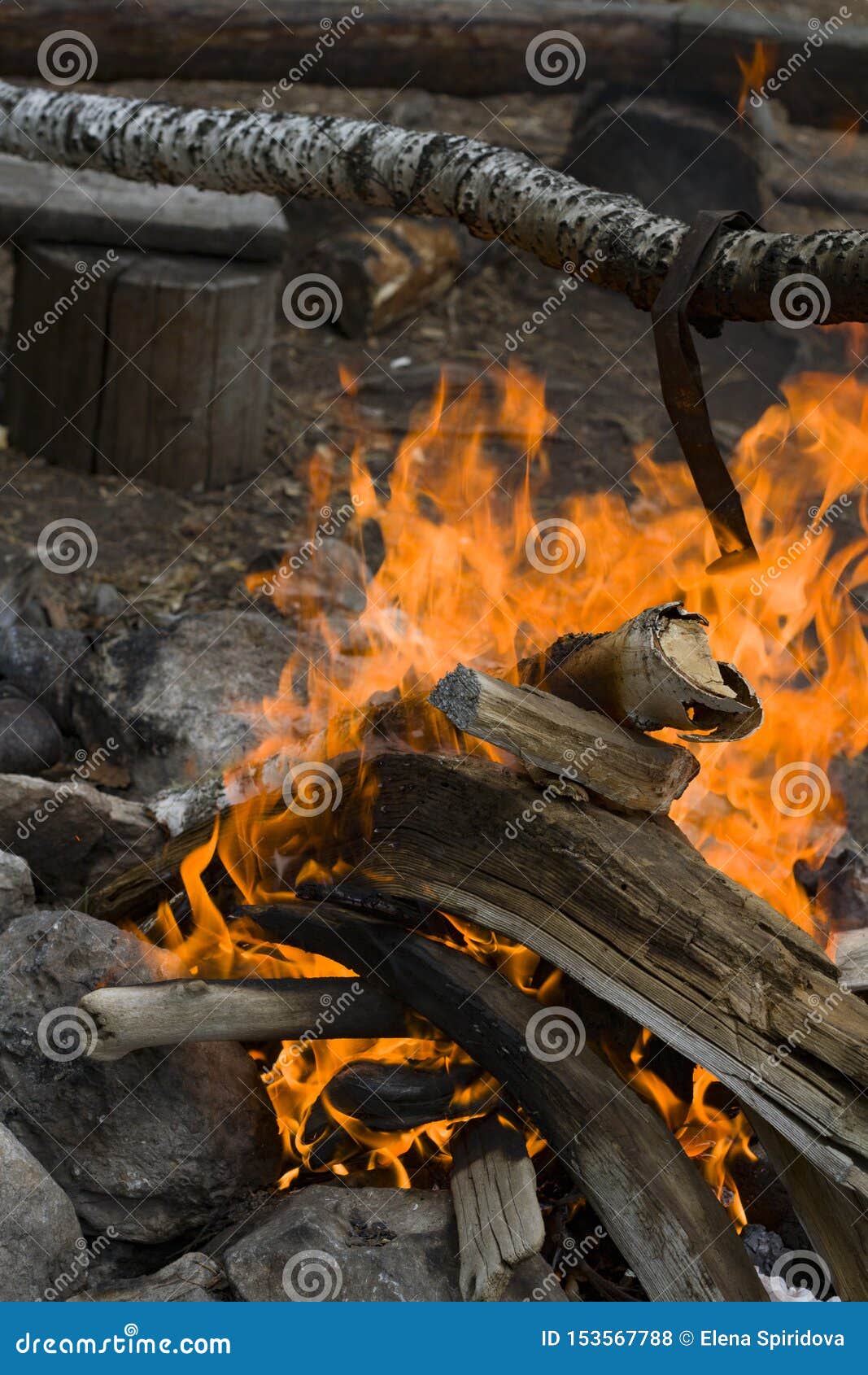 Firewood Burning in Nature in the Garden Stock Photo - Image of camp ...