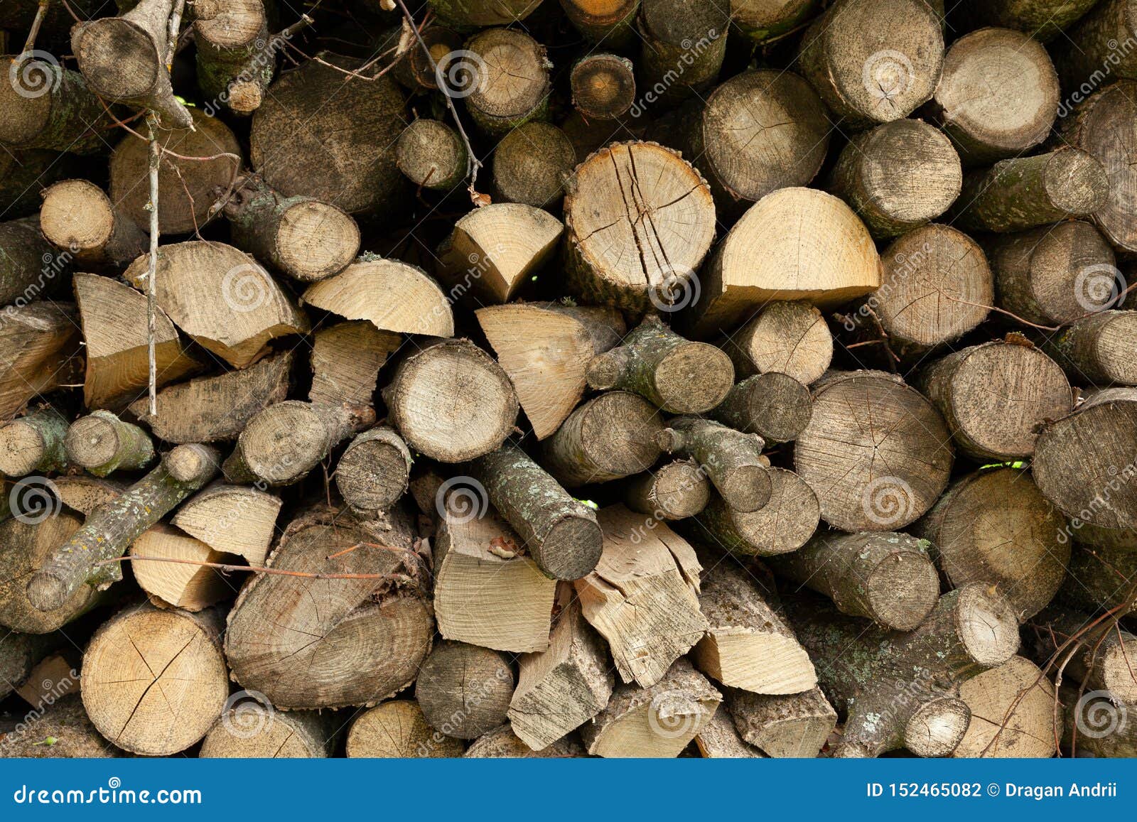 Firewood Chopped on Logs and Stacked. Stock Photo - Image of nature ...
