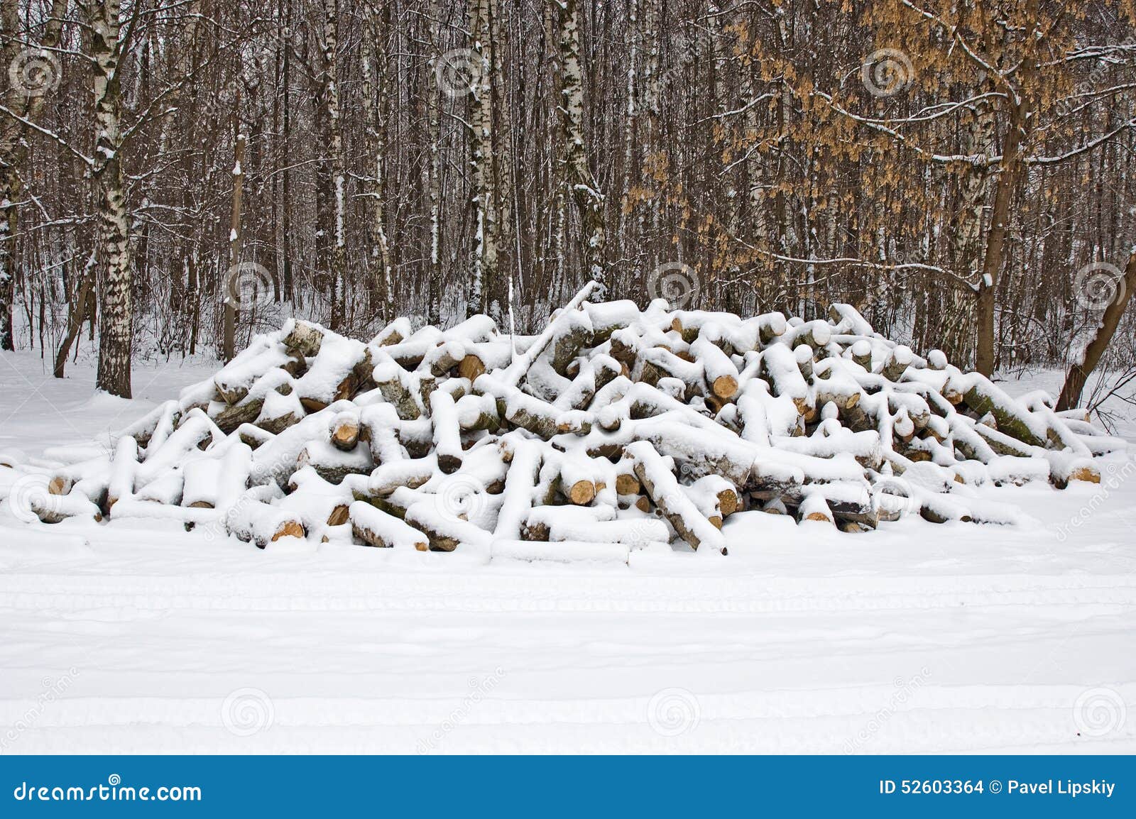 Firewood stock photo. Image of stack, winter, natural - 52603364