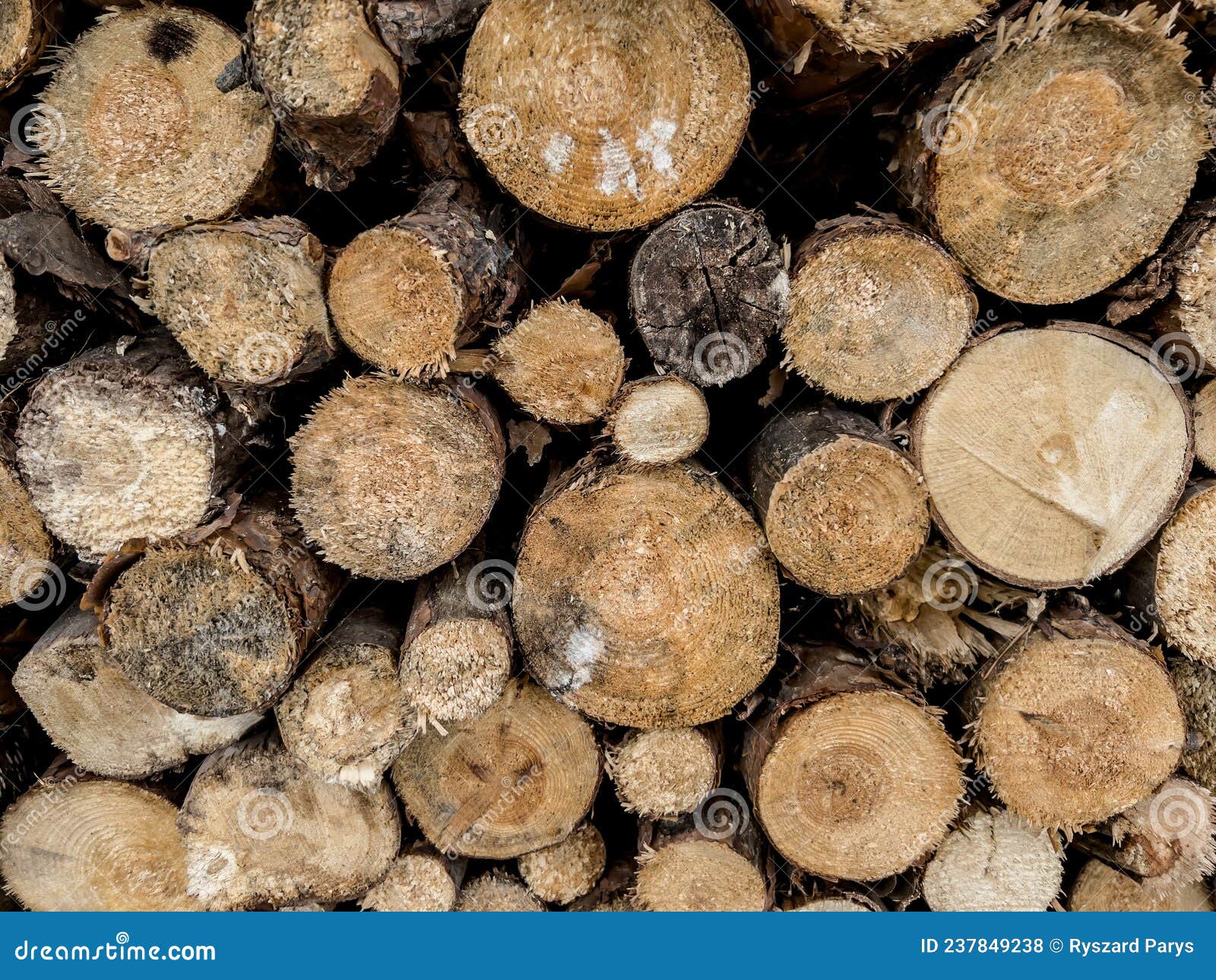 Firewood Cut, Split into Pieces and Stacked Stock Photo - Image of ...