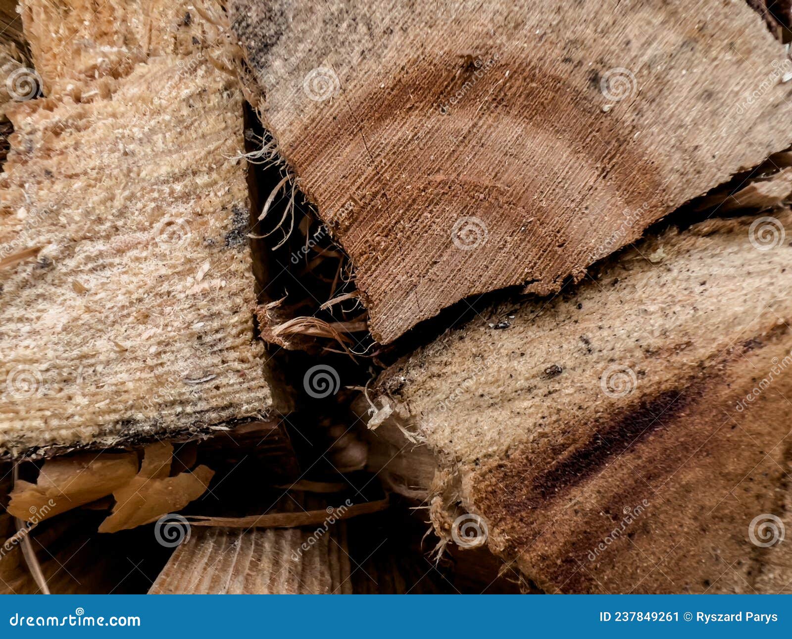 Firewood Cut, Split into Pieces and Stacked Stock Image - Image of ...
