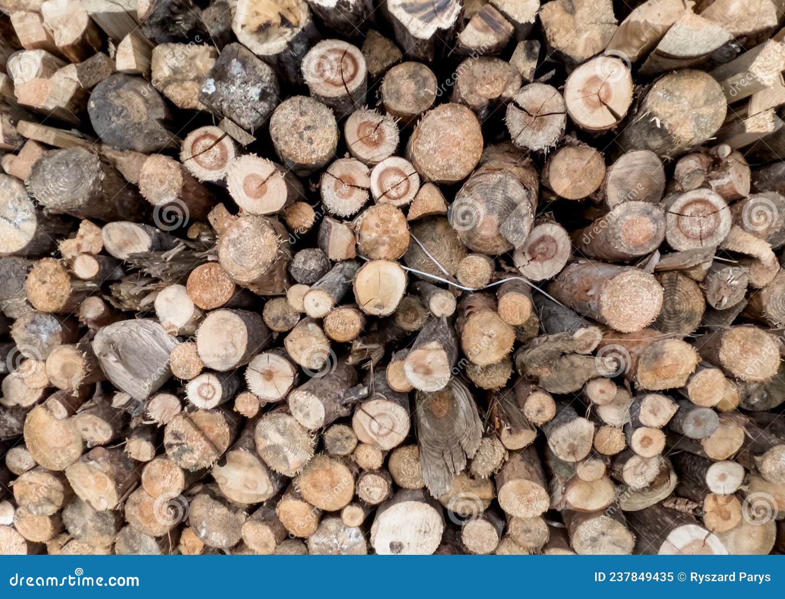 Firewood Cut, Split into Pieces and Stacked Stock Image - Image of ...