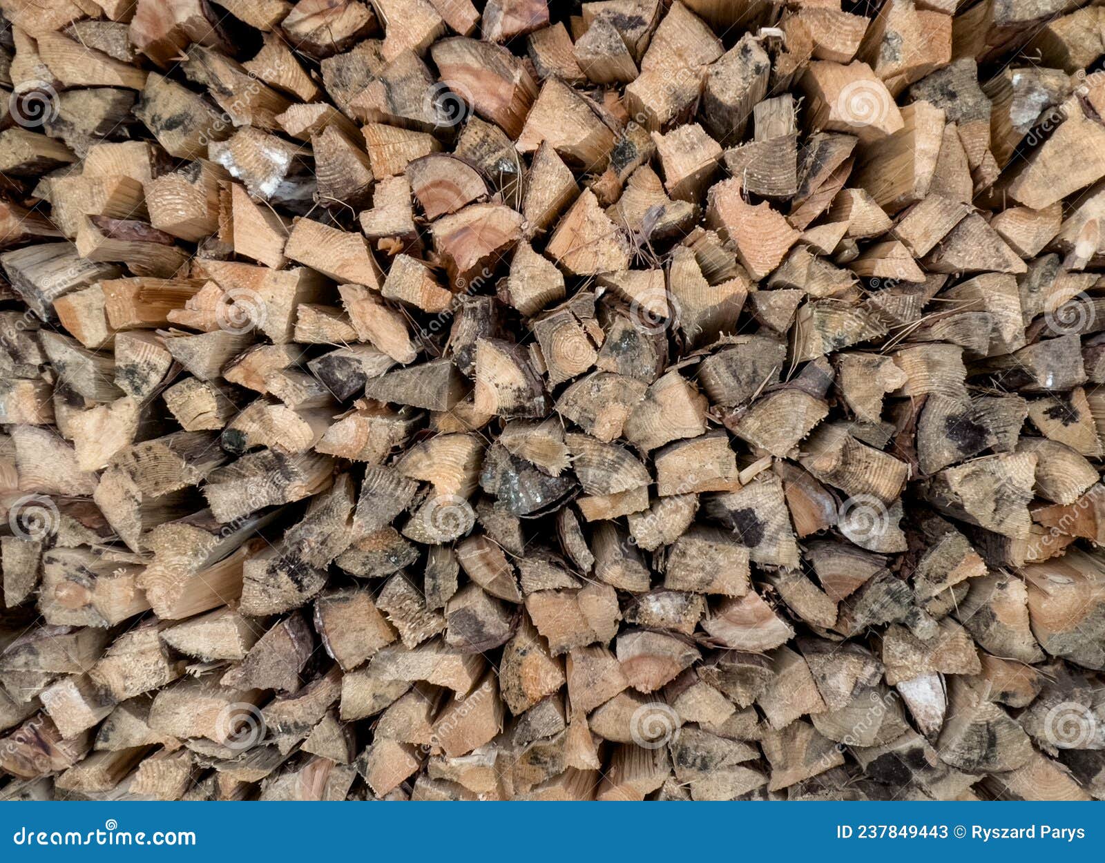 Firewood Cut, Split into Pieces and Stacked Stock Image - Image of ...