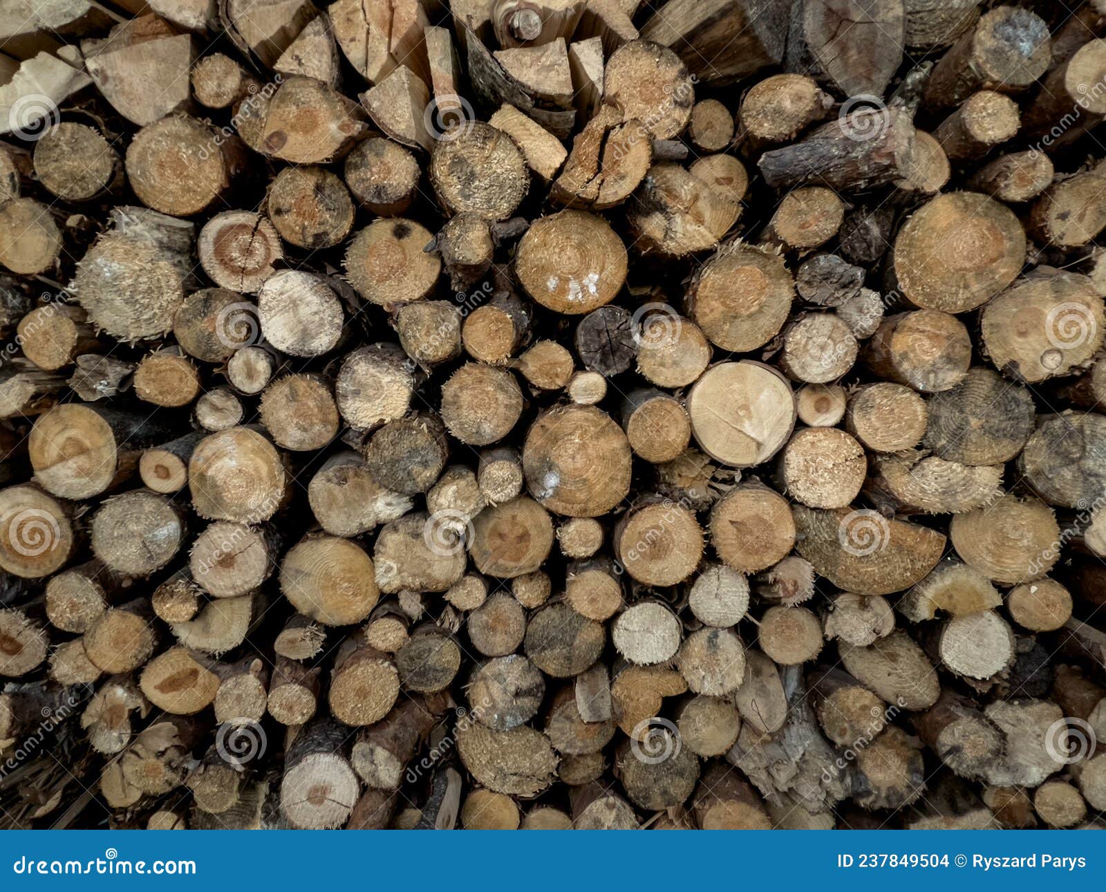 Firewood Cut, Split into Pieces and Stacked Stock Photo - Image of ...