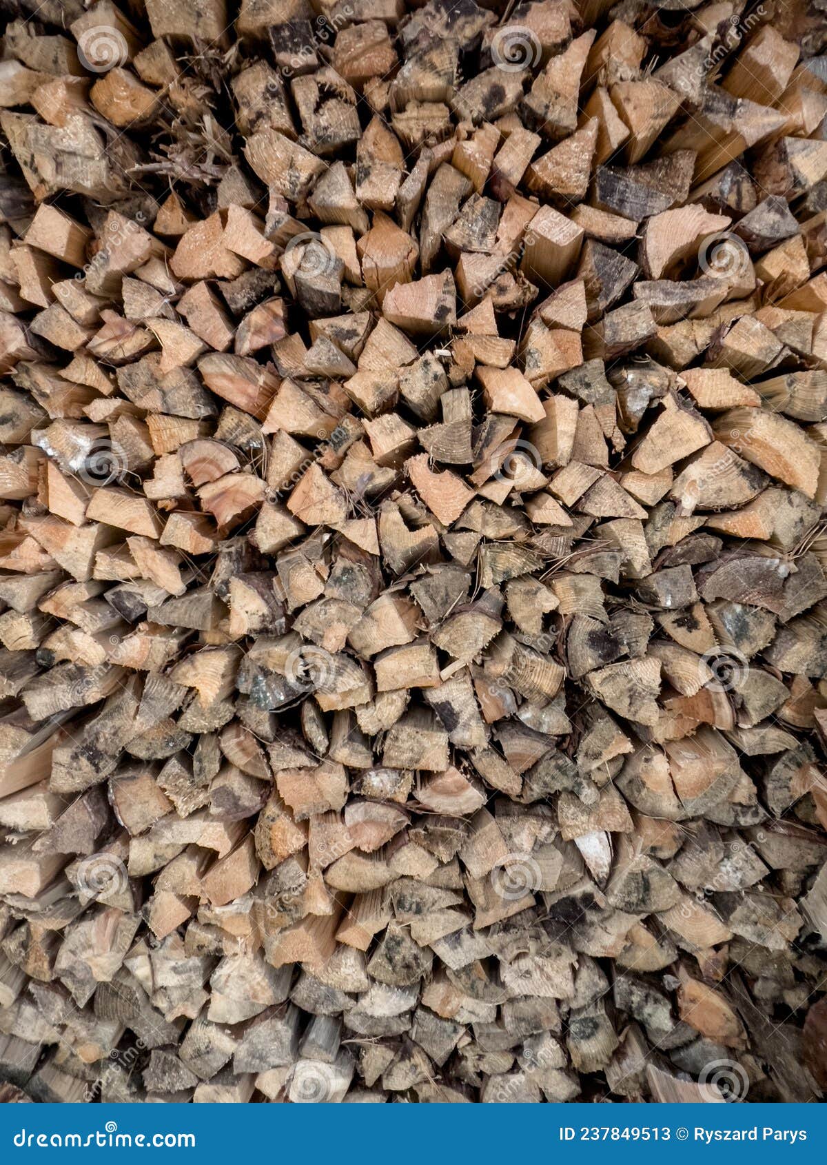 Firewood Cut, Split into Pieces and Stacked Stock Image - Image of ...