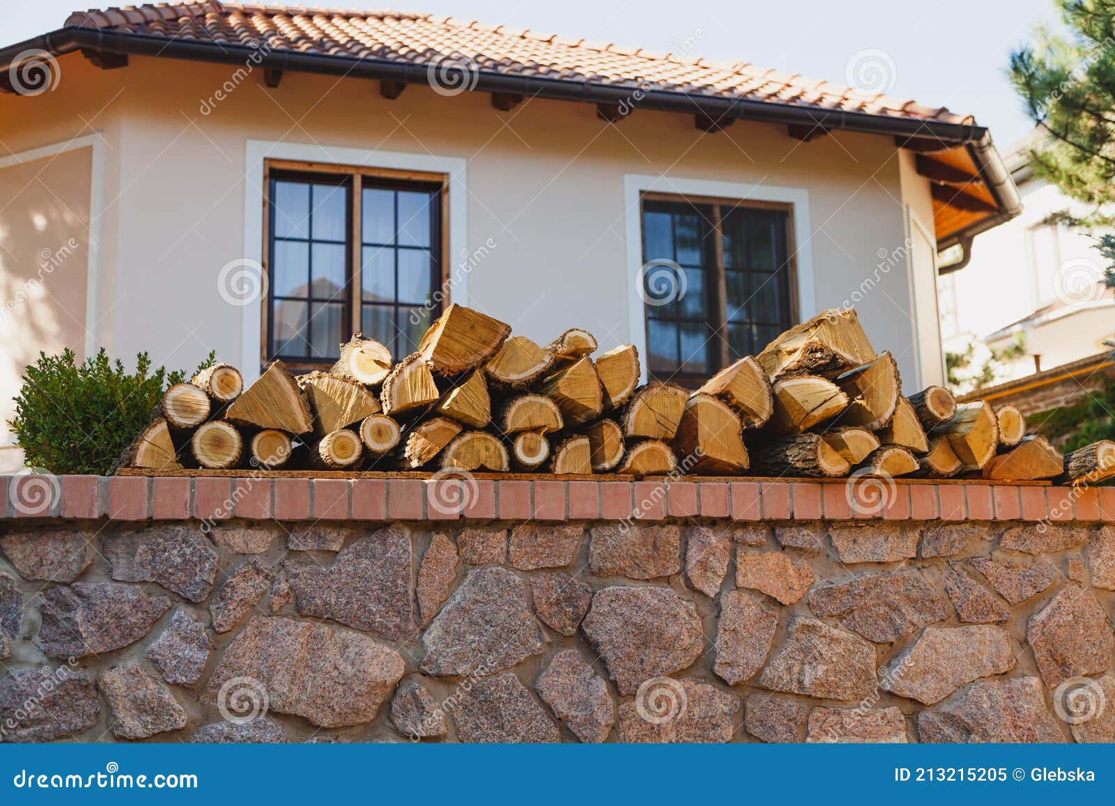 Firewood of Different Shapes are Stacked in Row in Yard Stock Image ...