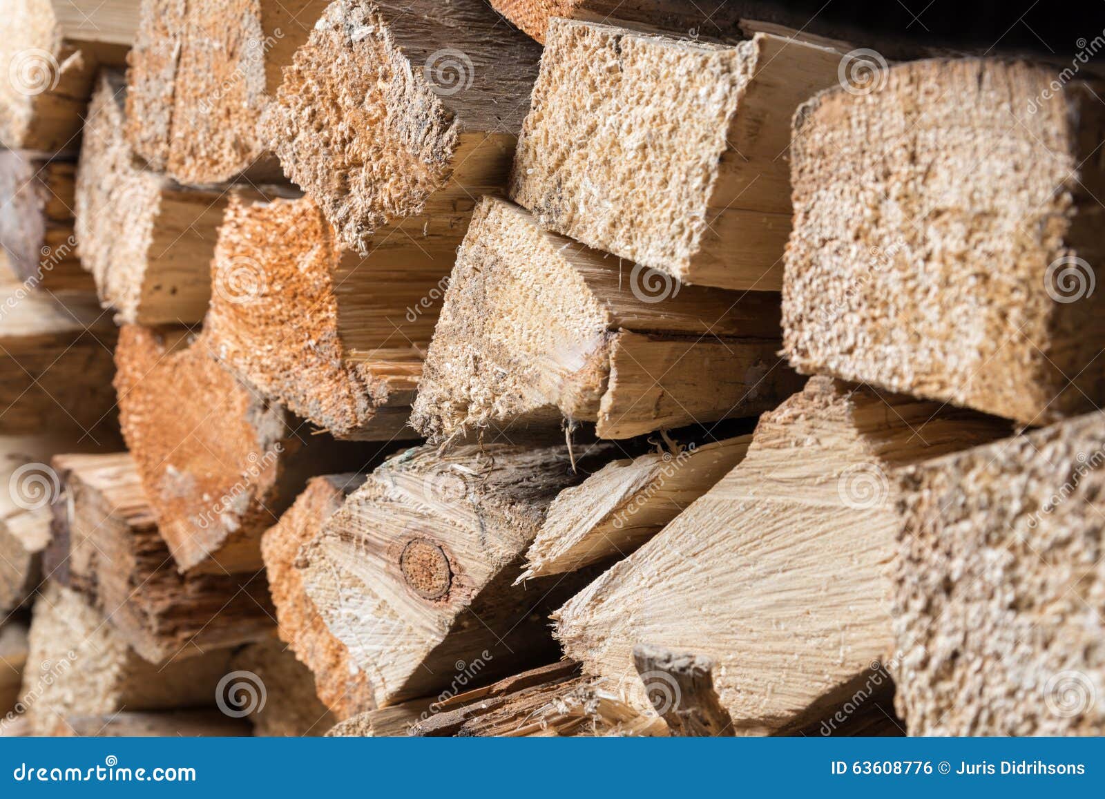 Firewood of Different Types. Stock Photo - Image of forest, winter ...