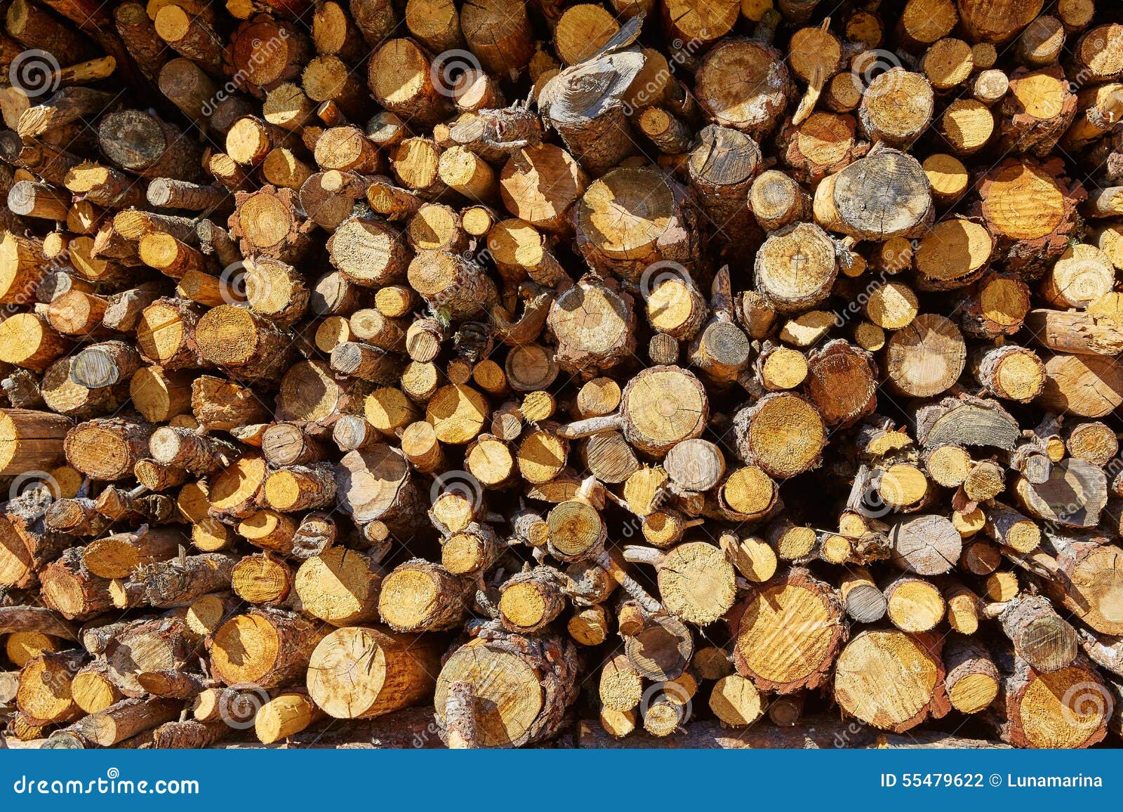 Firewood Fire Wook Pattern Texture Royalty-Free Stock Photography ...