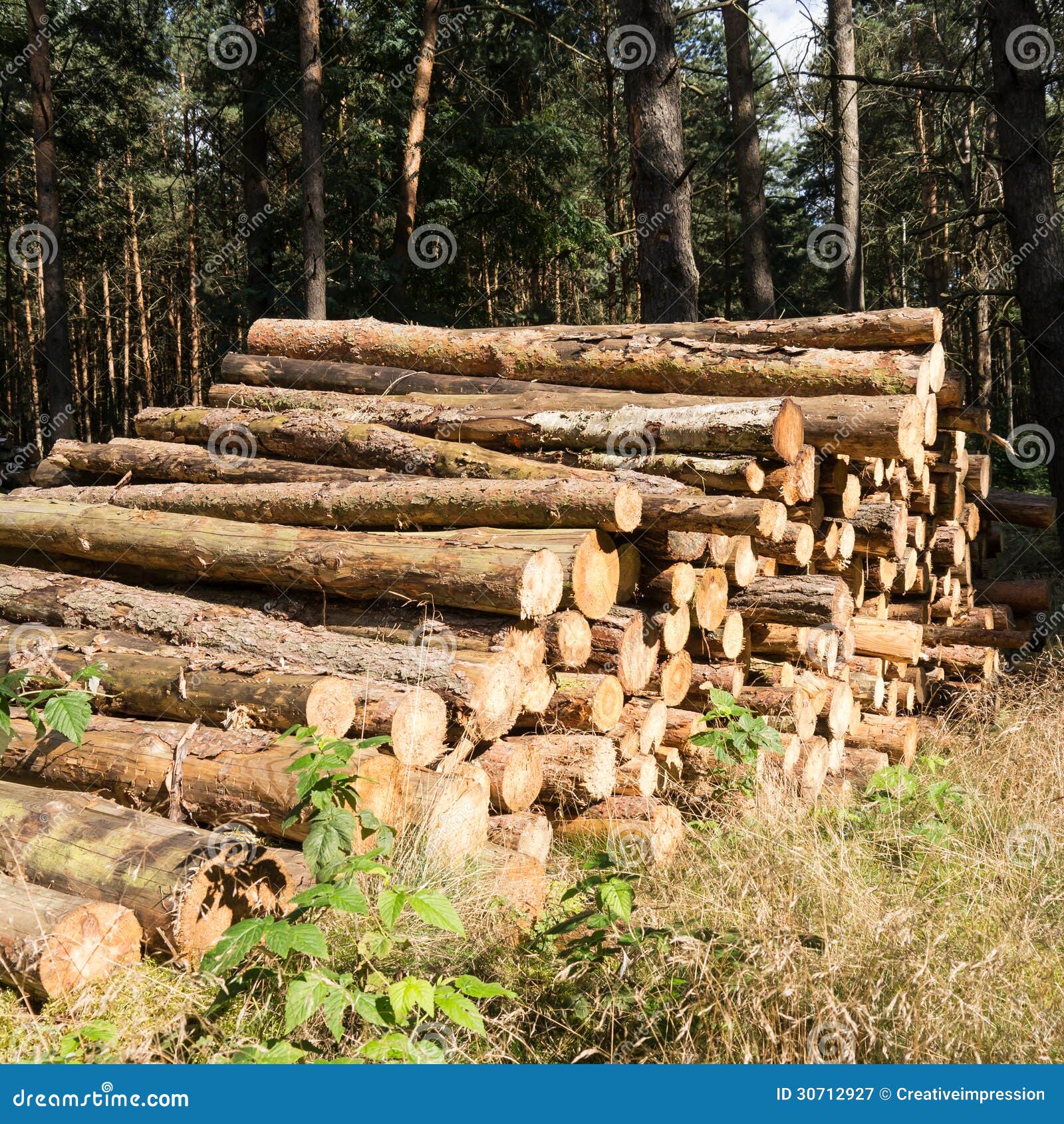 Firewood stock image. Image of closeup, lumber, winter - 30712927