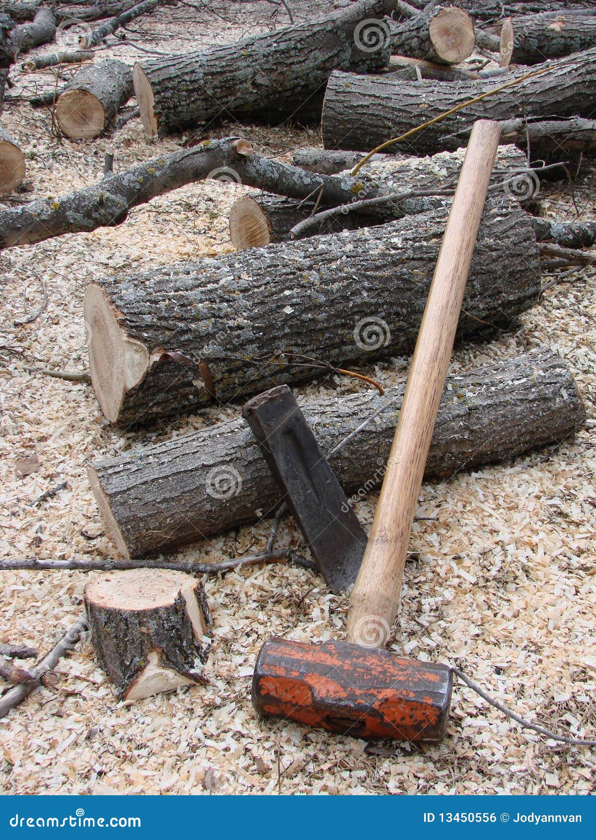 Firewood and Hand Splitting Tools Stock Photo - Image of wedge, sledge ...