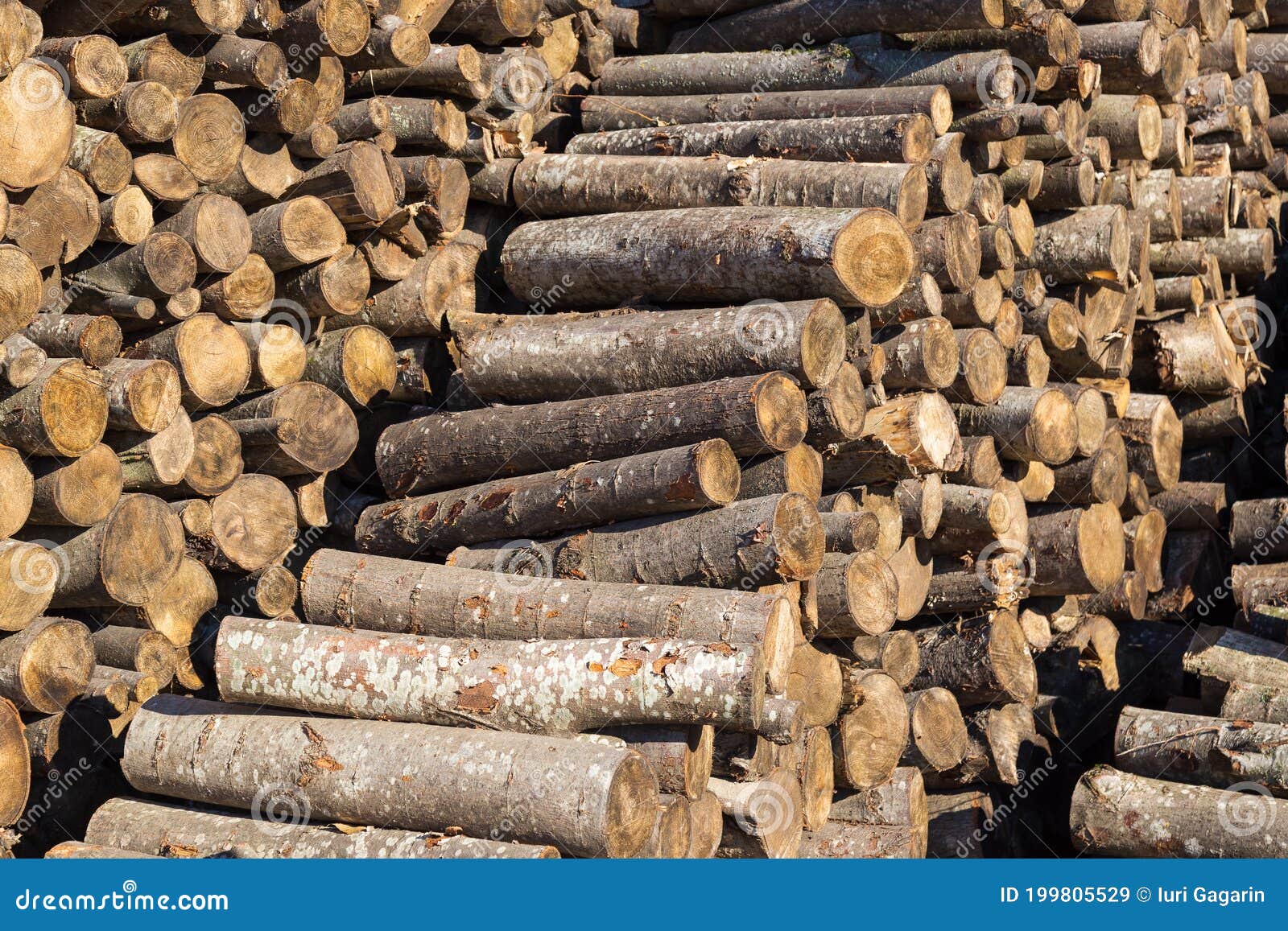 Firewood for Home Heating and Cooking on an Open Fire Stock Image ...