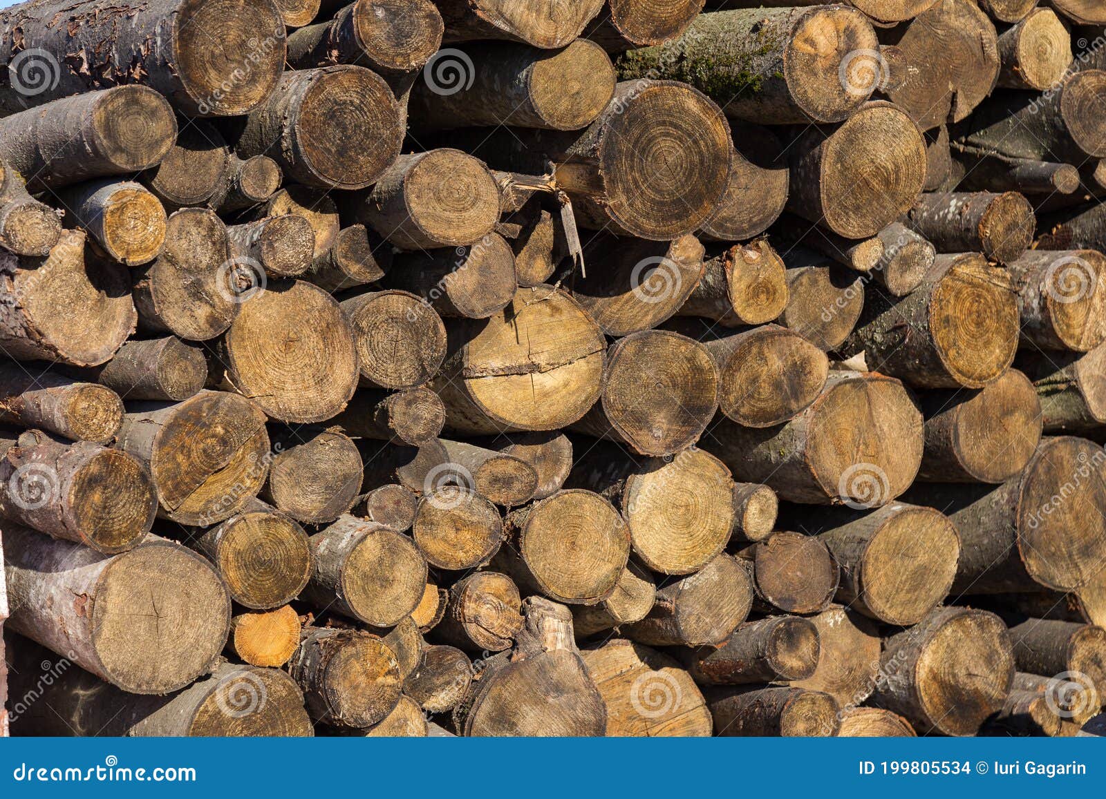 Firewood for Home Heating and Cooking on an Open Fire Stock Photo ...