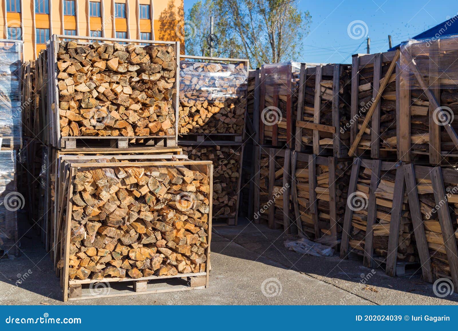 Firewood for Home Heating and Cooking on an Open Fire Stock Image ...