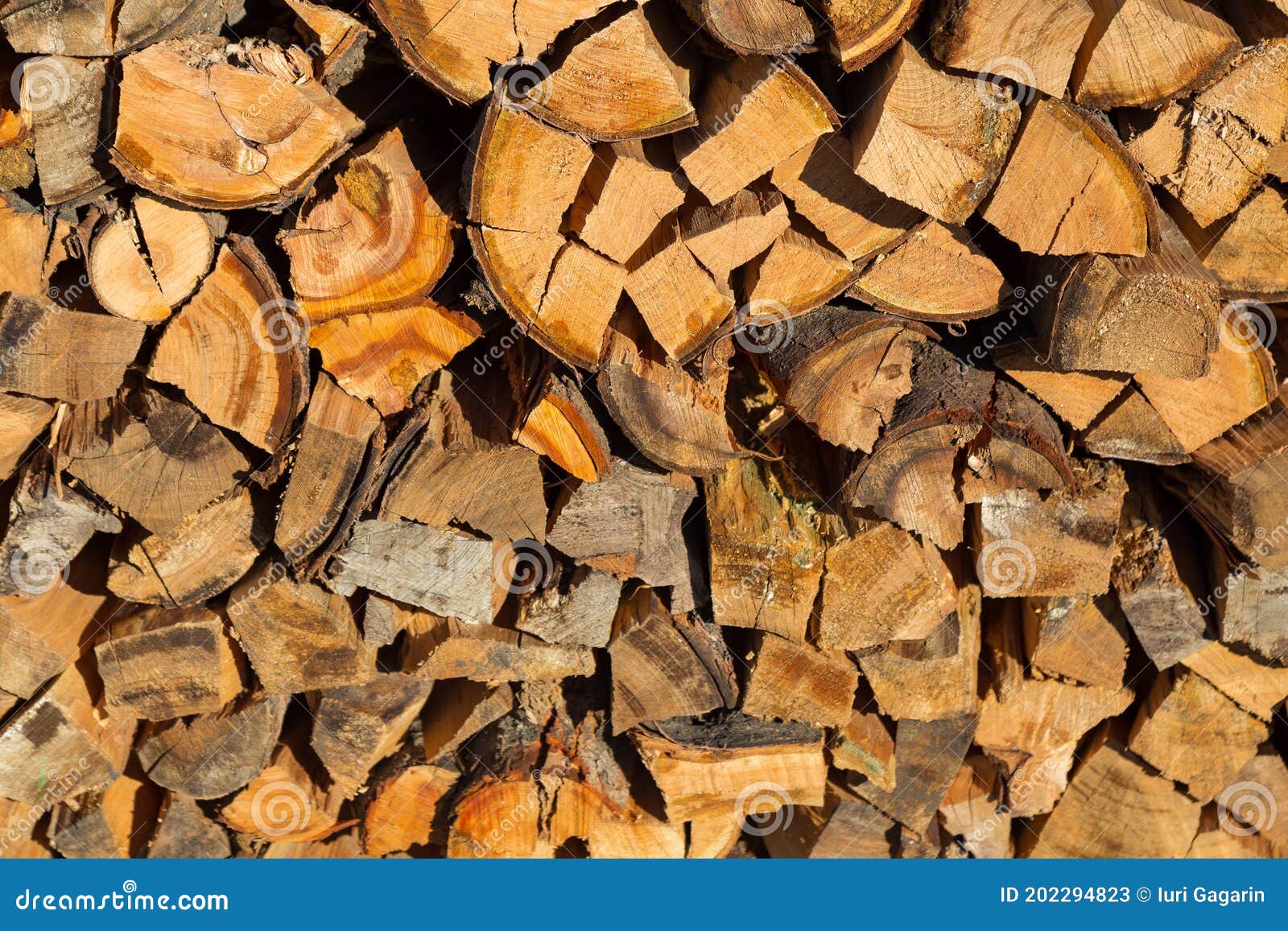 Firewood for Home Heating and Cooking on an Open Fire Stock Image ...