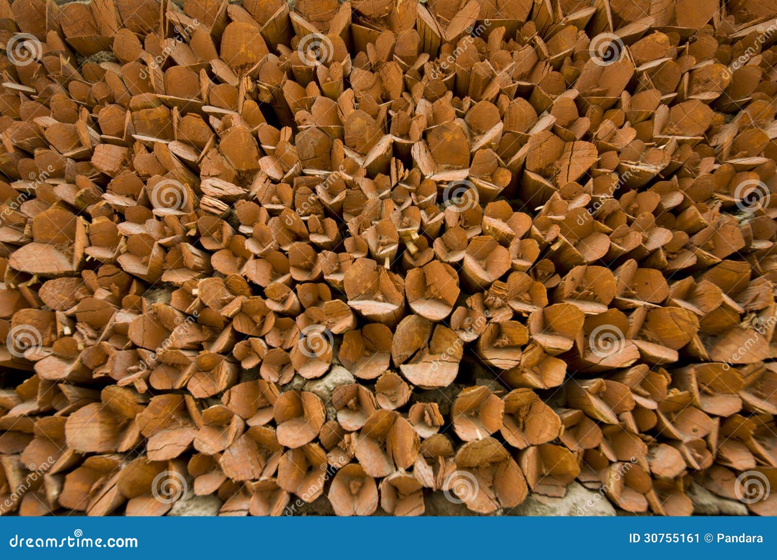 Firewood in Leh stock image. Image of india, nature, ladakh - 30755161