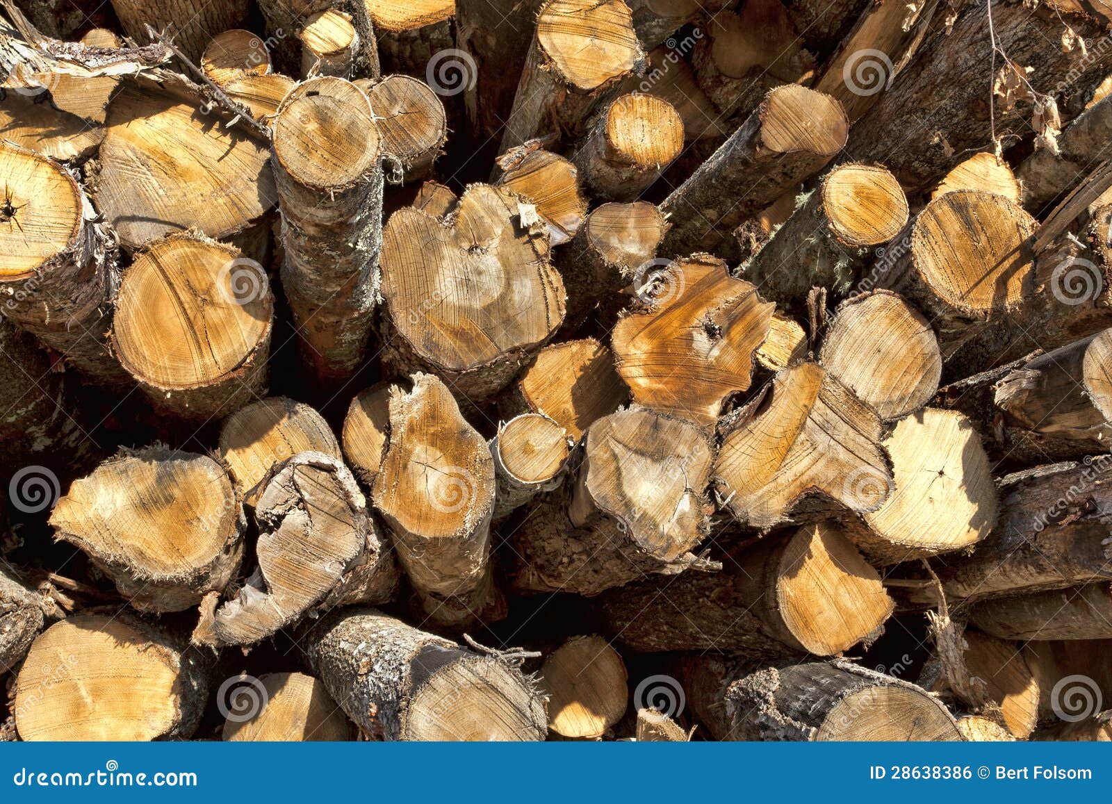 Firewood log ends stock photo. Image of pile, woodpile - 28638386