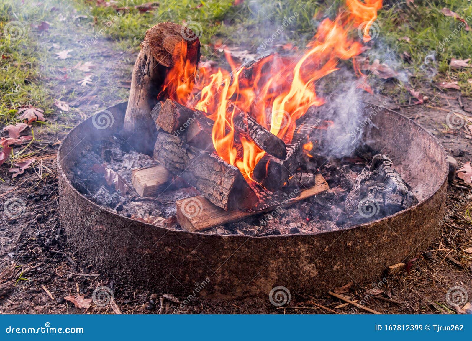 Logs Burning in the Campfire Stock Image - Image of logs, daytime ...