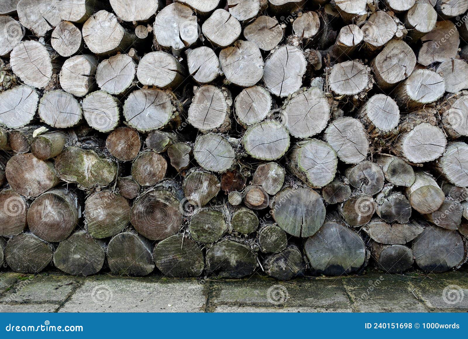 Stacked Logs Background stock photo. Image of firewood - 240151698