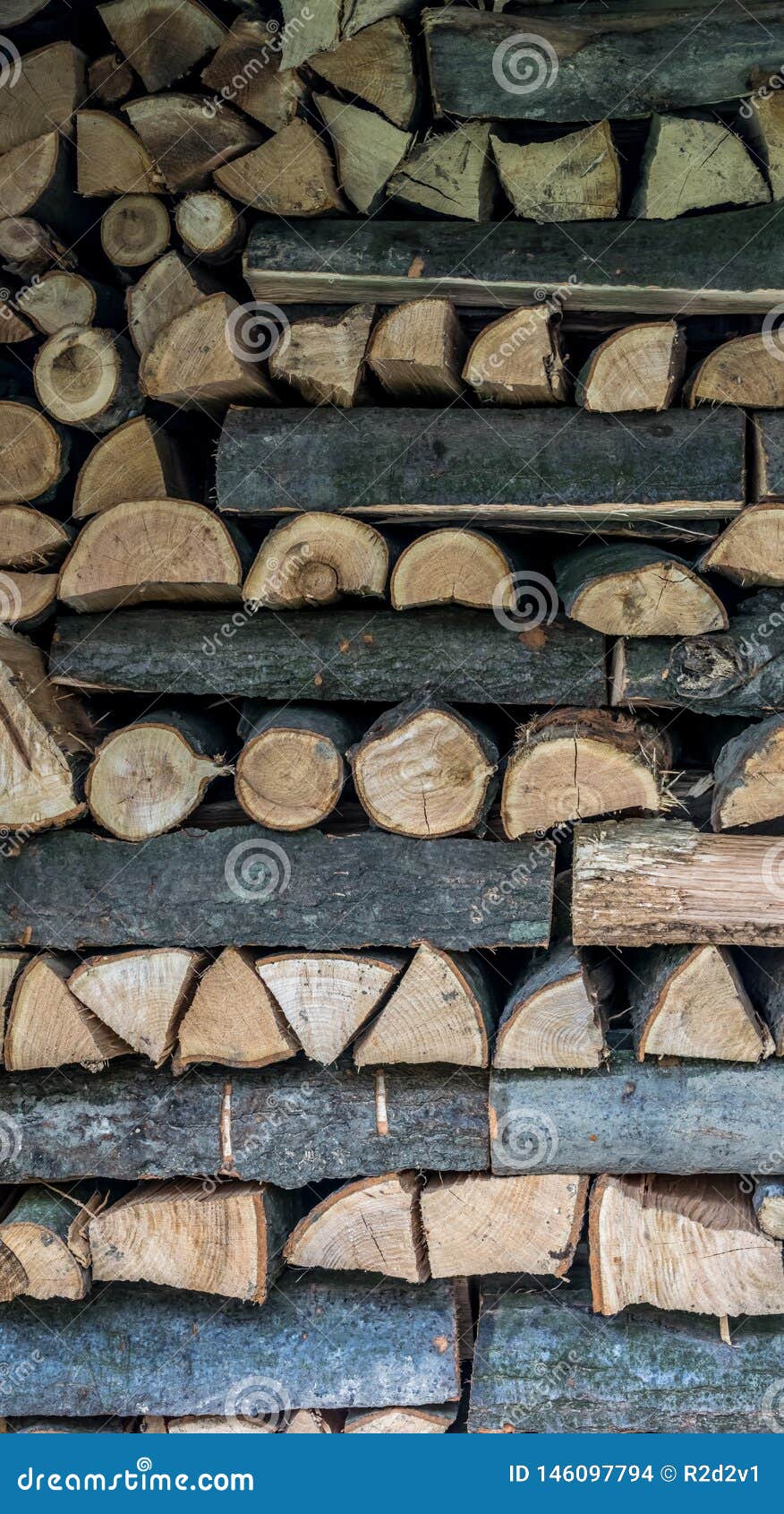 Vertical stack of firewood stock photo. Image of stacked - 146097794