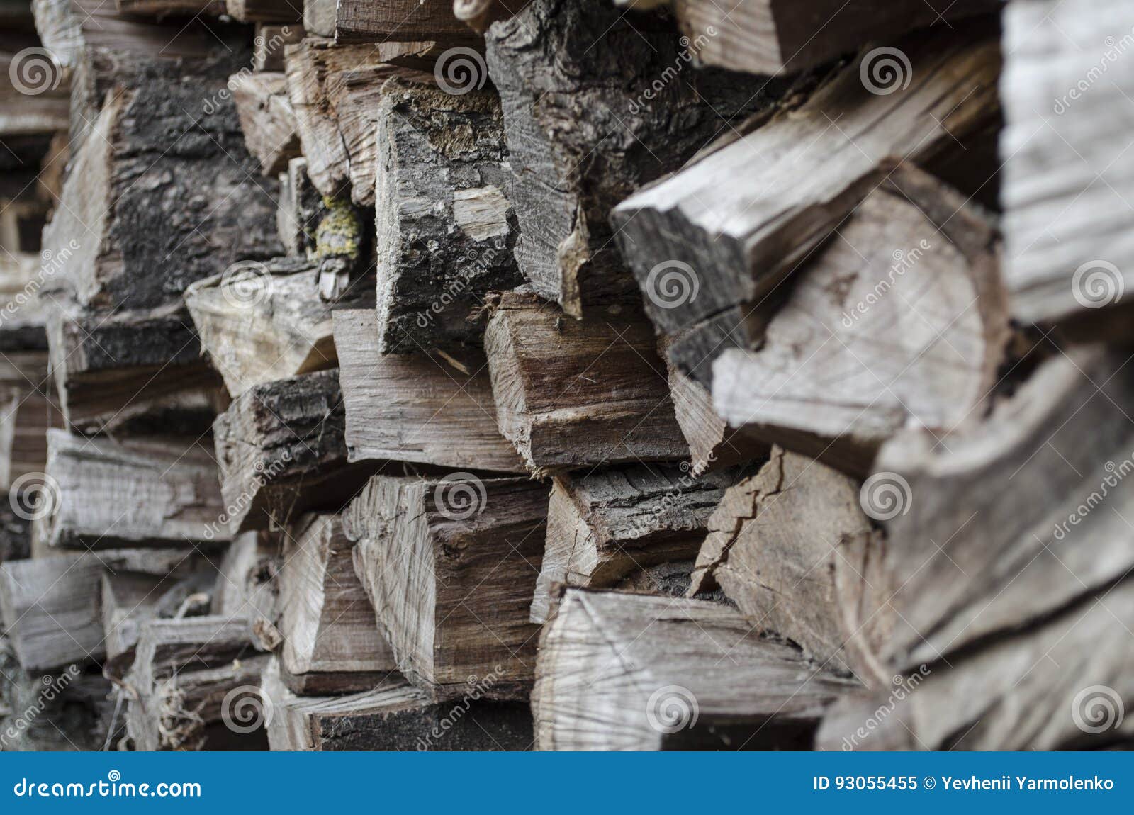 Firewood, stock image. Image of brown, bark, forest, environment - 93055455